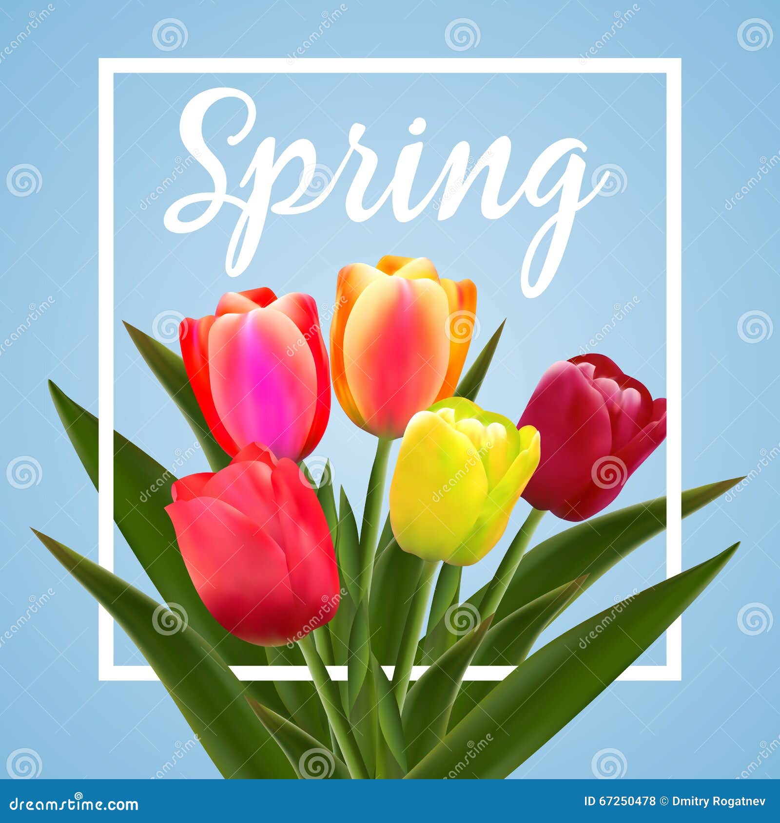 Spring Text with Tulip Flower. Stock Vector - Illustration of copy ...