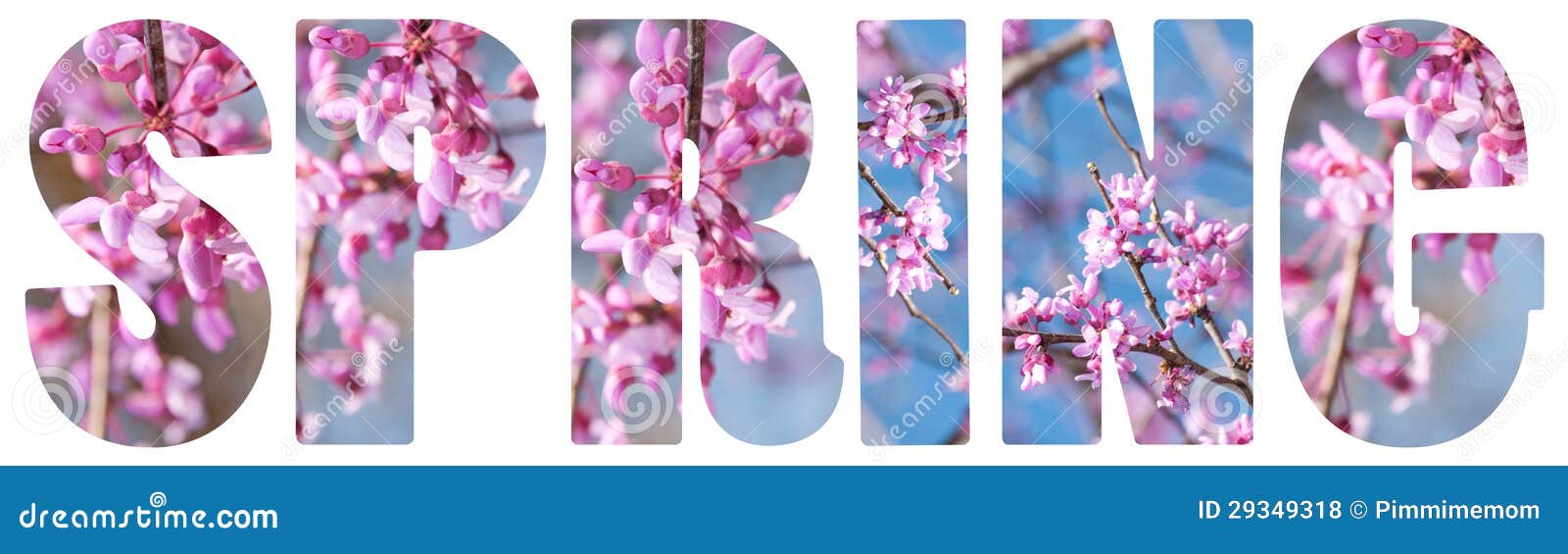 Spring text on white stock photo. Image of peashaped - 29349318