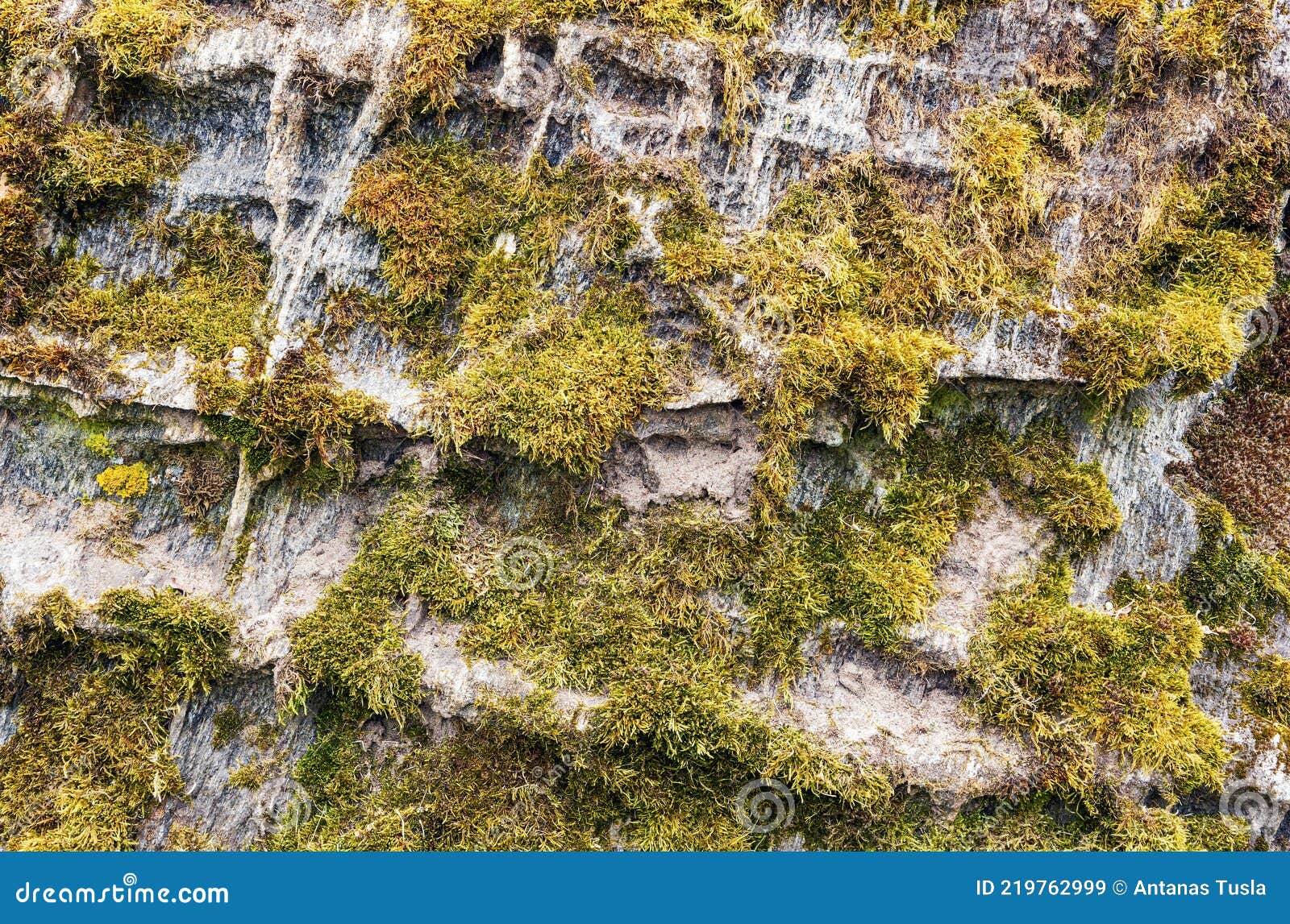 Stone with Moss Texture Background Stock Image - Image of textured ...