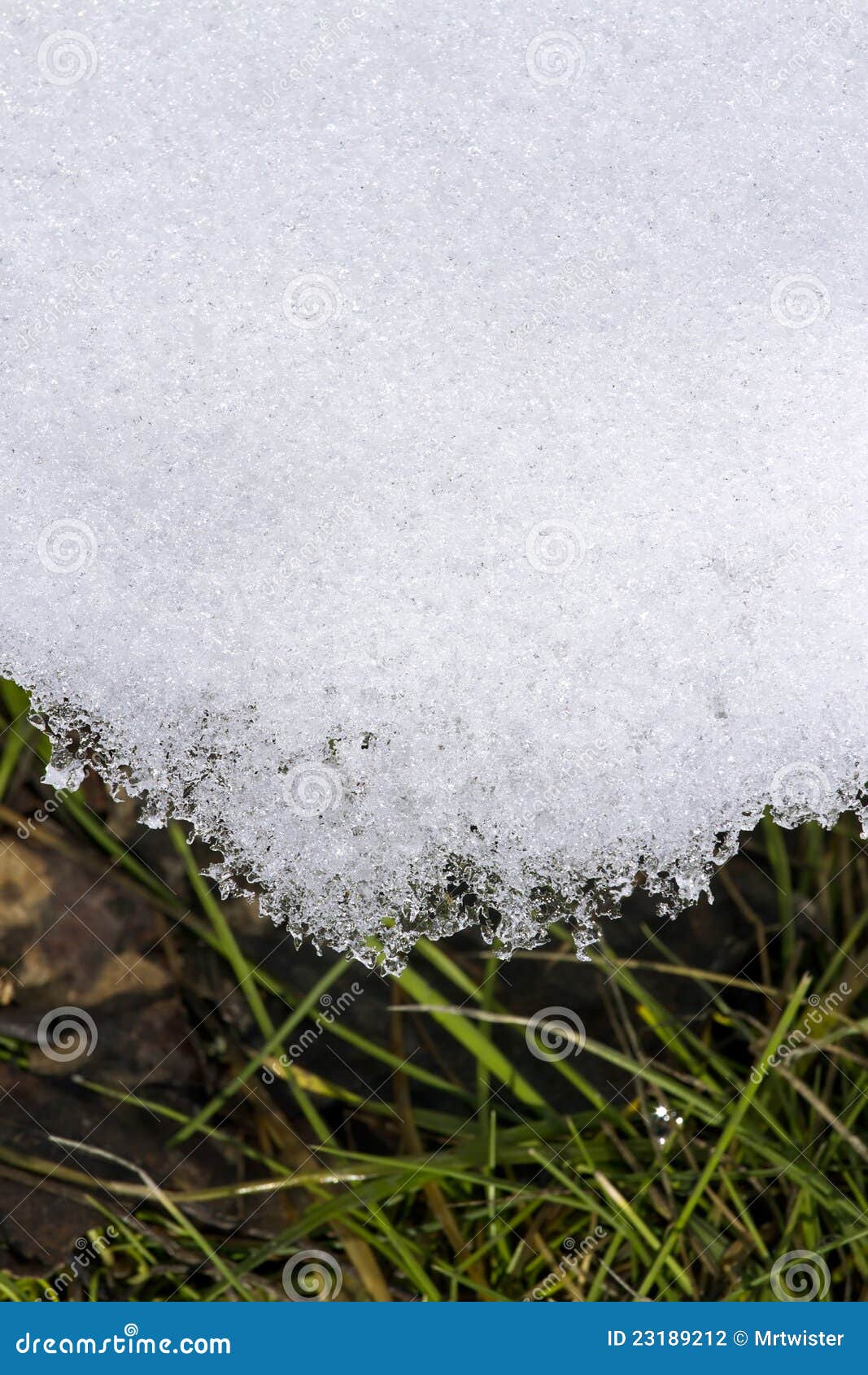 Spring thaw stock photo. Image of outdoors, grass, spring - 23189212