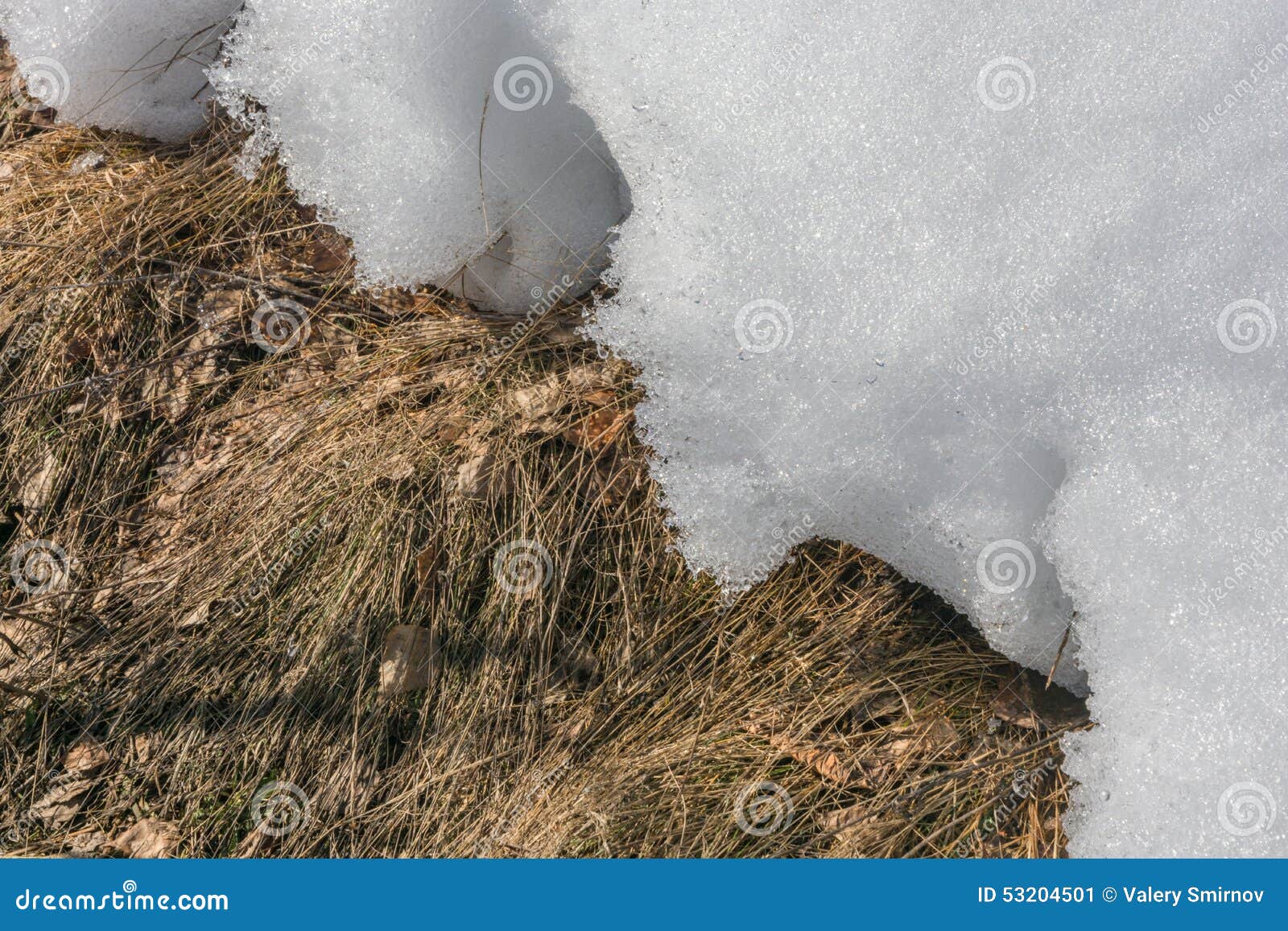 Spring thaw. stock image. Image of thawed, snowdrift - 53204501