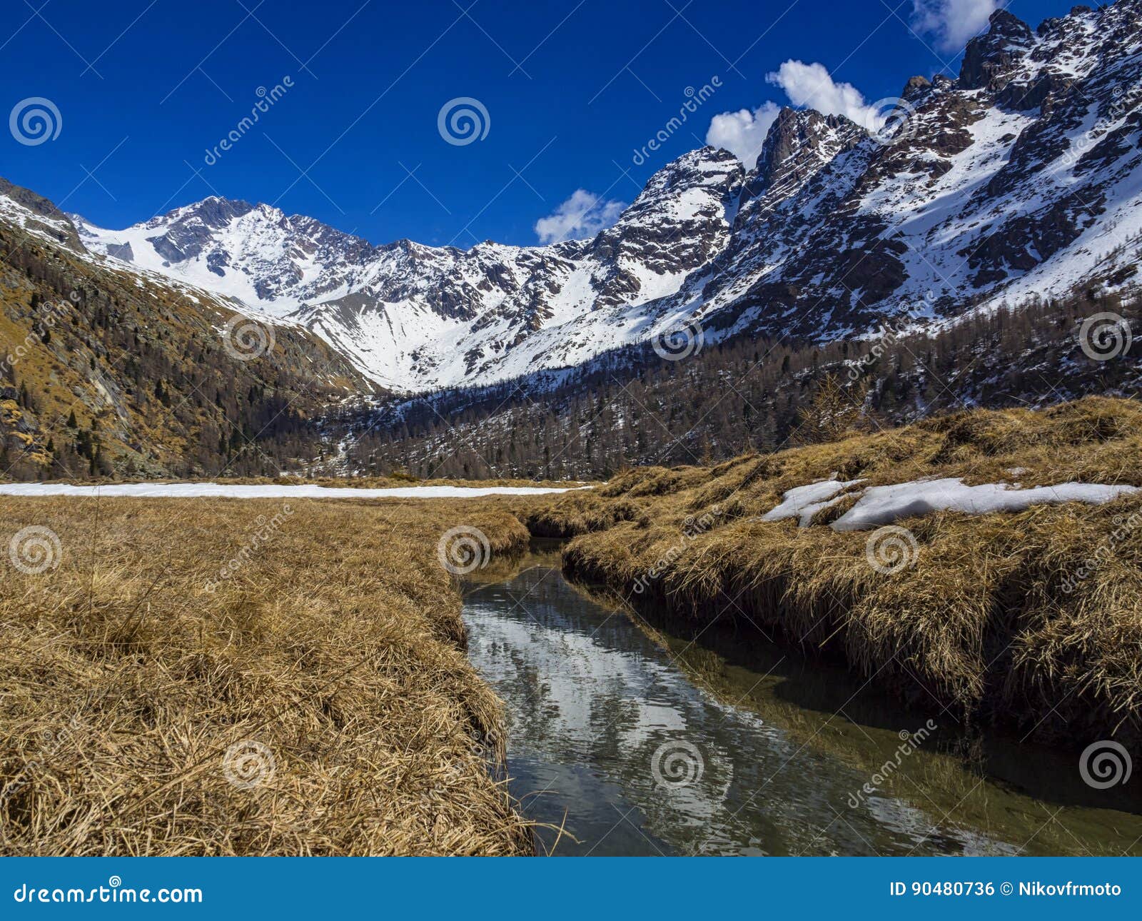 Spring thaw stock photo. Image of park, hicking, nature - 90480736