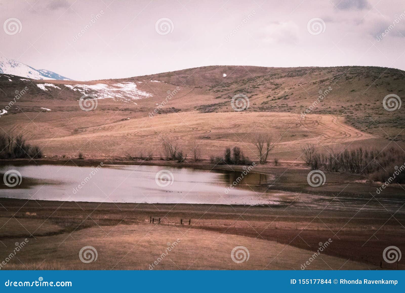 Spring Thaw in Rural Farm Fields Stock Photo - Image of brown, glisten ...