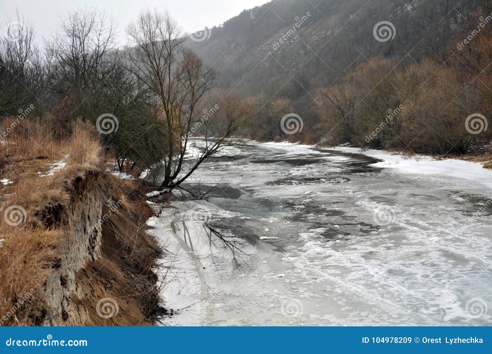 Spring thaw on the river stock image. Image of forest - 104978209