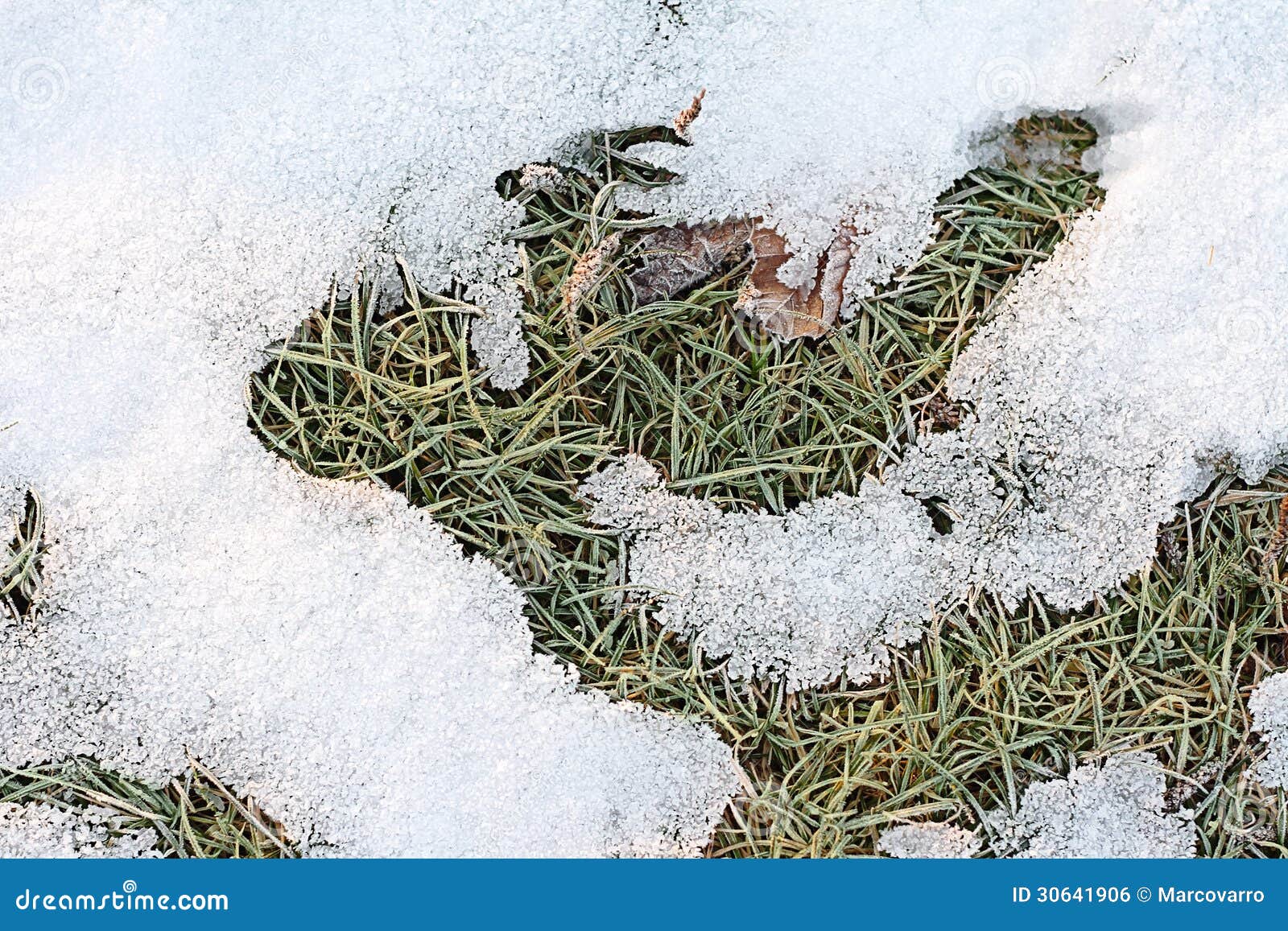 Spring Thaw stock photo. Image of emerge, seasons, weather - 30641906