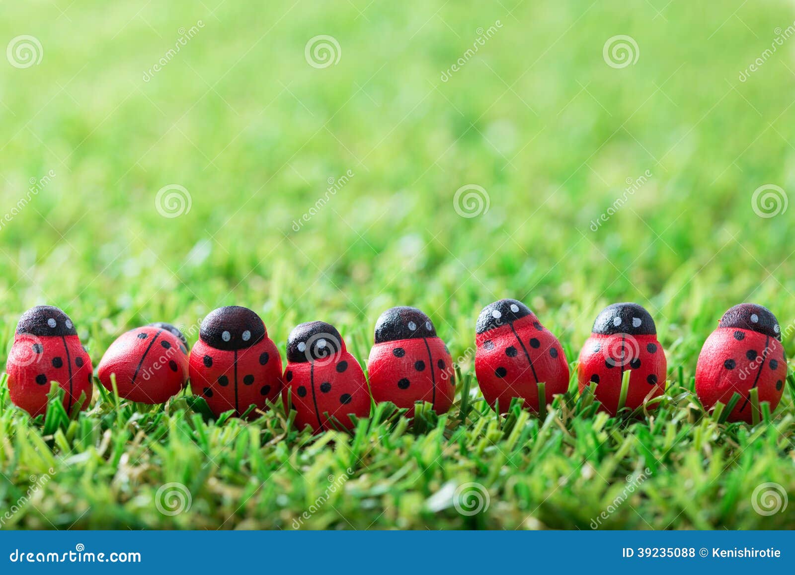 Spring theme stock photo. Image of natural, ladybugs - 39235088