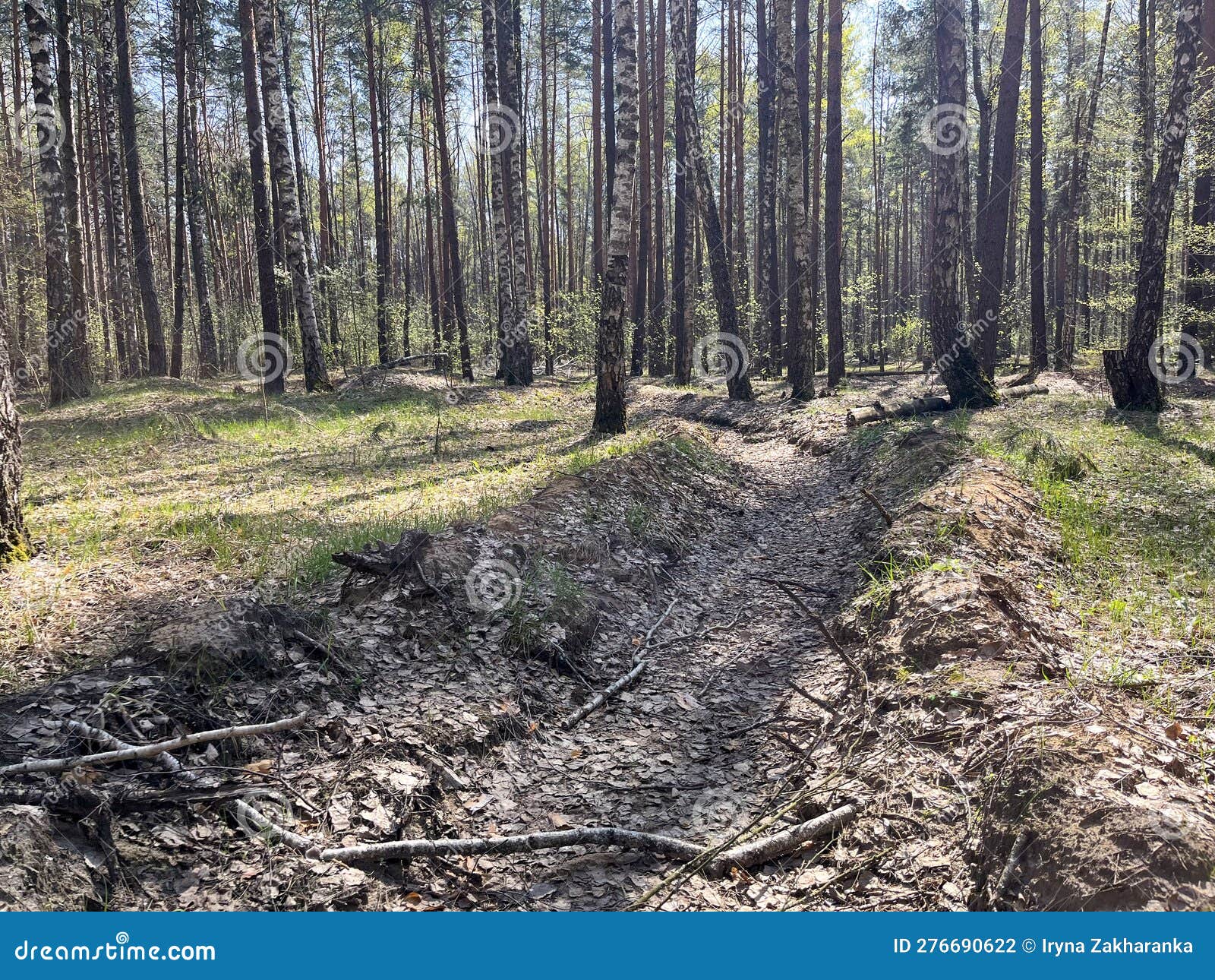 There is a Fire-fighting Moat in the Forest Stock Photo - Image of ...