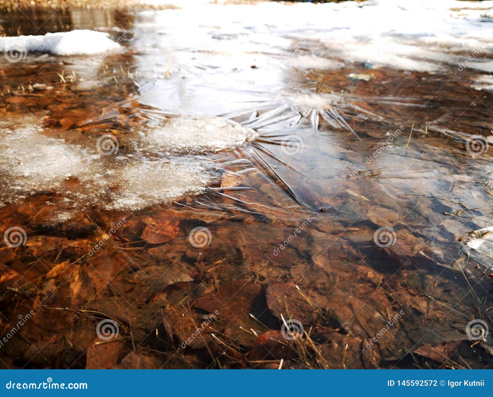 Spring Thin Ice on the Puddles. Stock Photo - Image of colorful, frost ...
