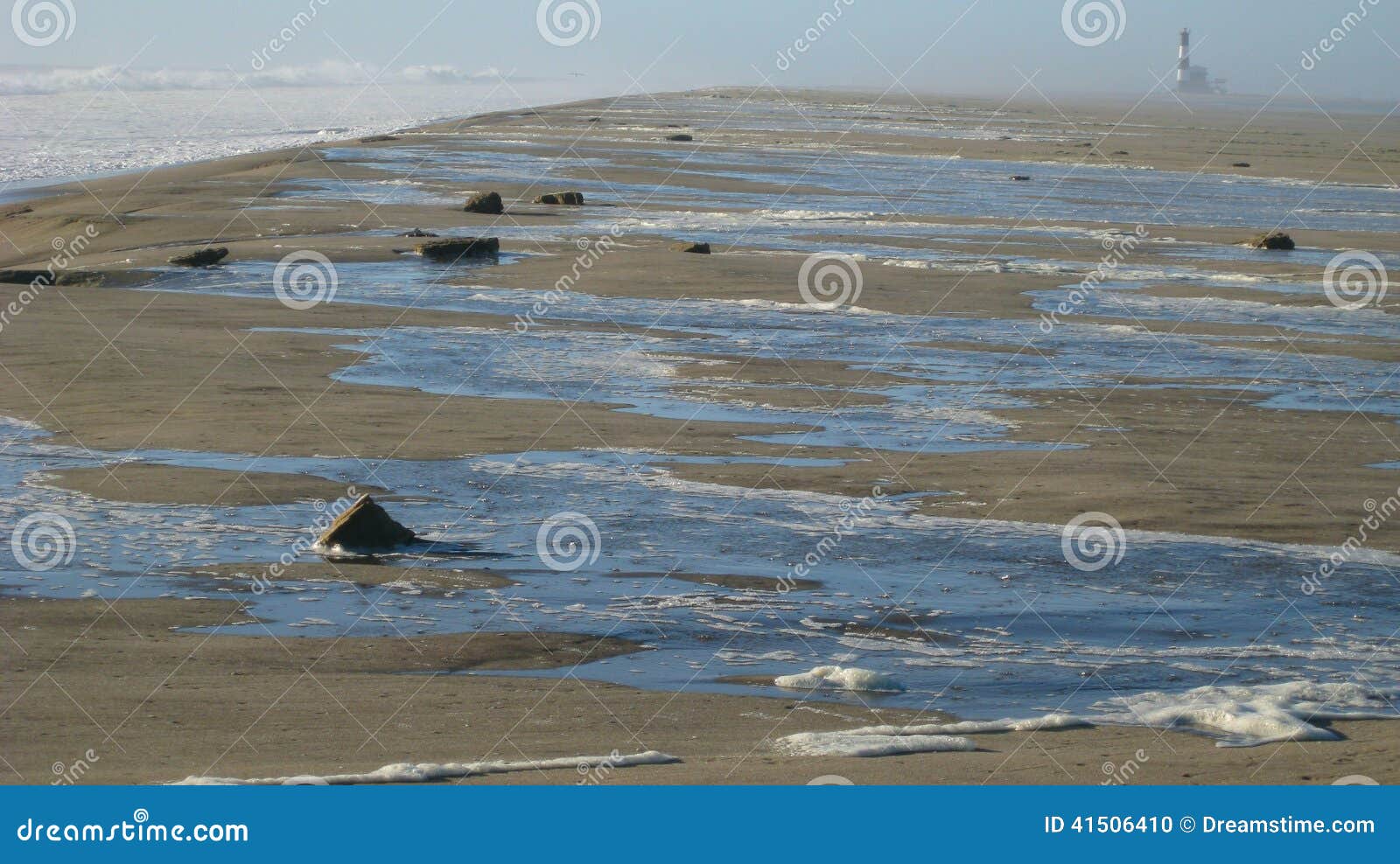 Spring Tide stock photo. Image of walvisbay, pelican - 41506410