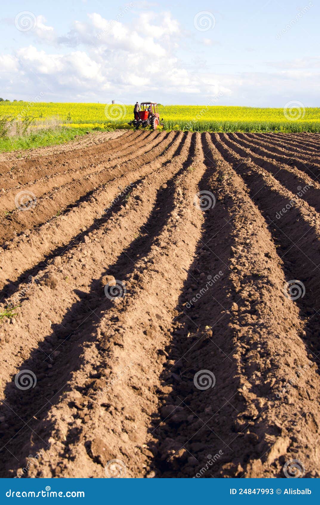 Spring Tillage in the Ground and Tractor Stock Image - Image of land ...