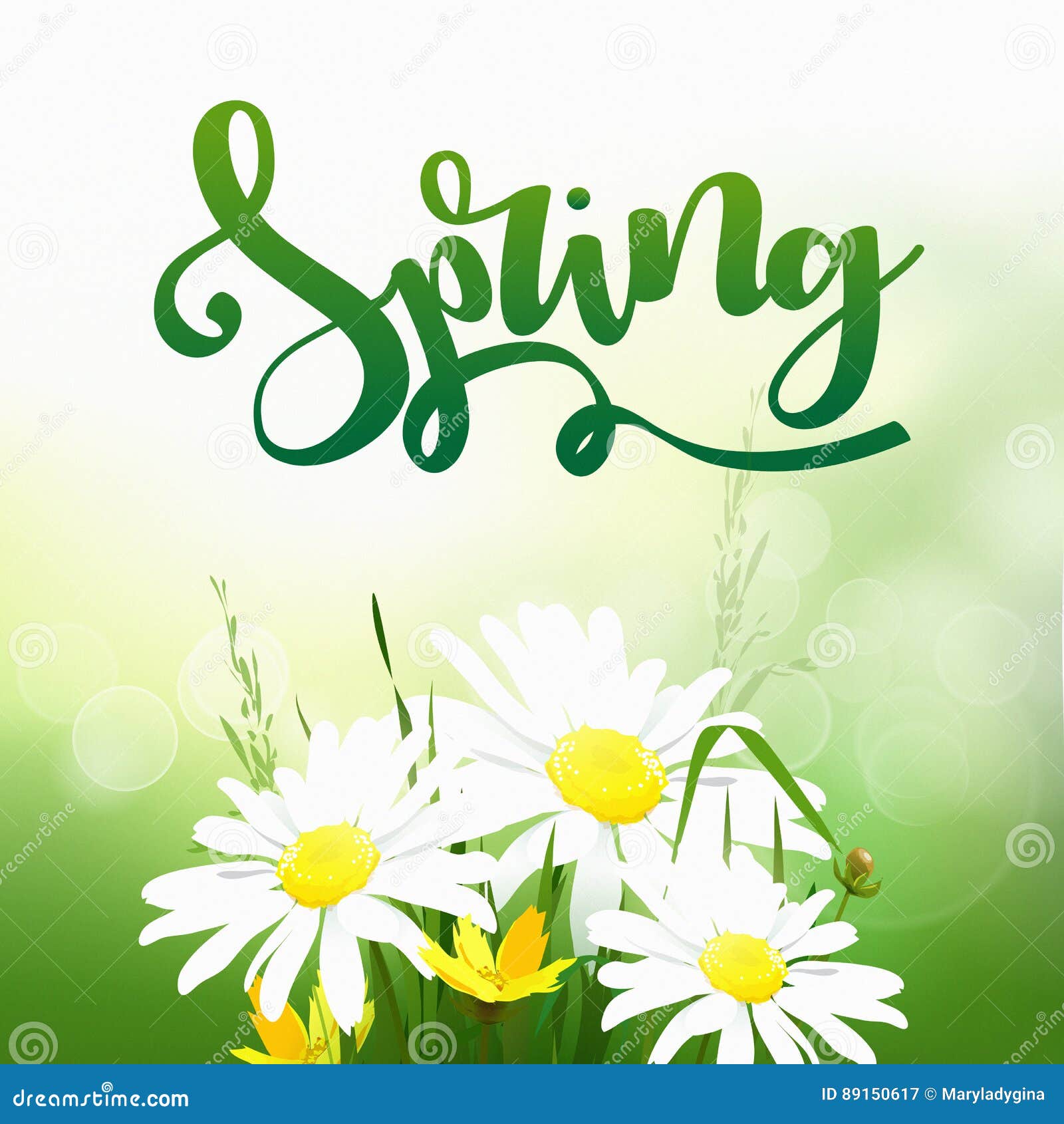 Spring Time On Background With Spring Flowers Stock Vector ...