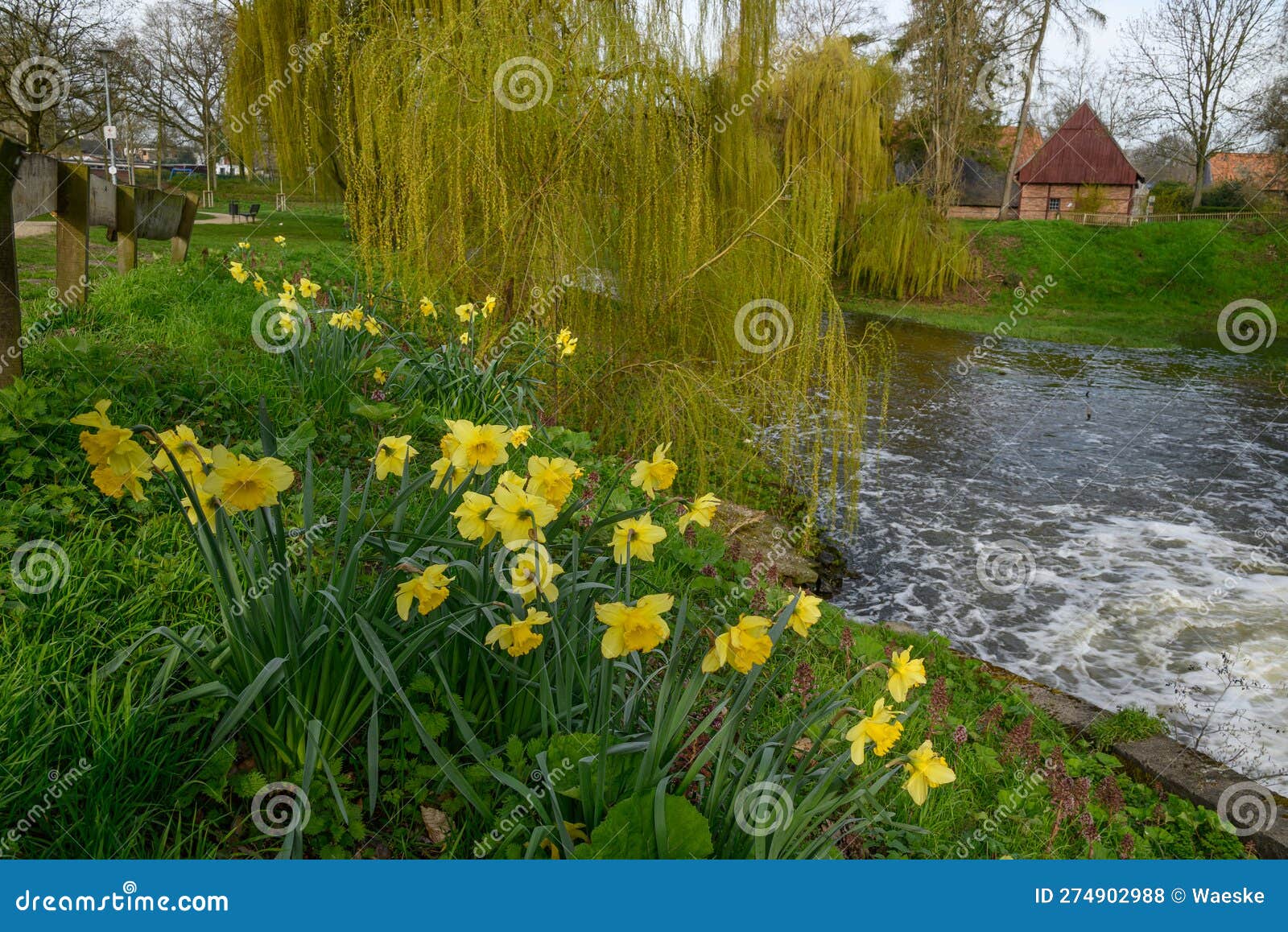 Spring Time at the Berkel River in Vreden Stock Photo - Image of spring ...