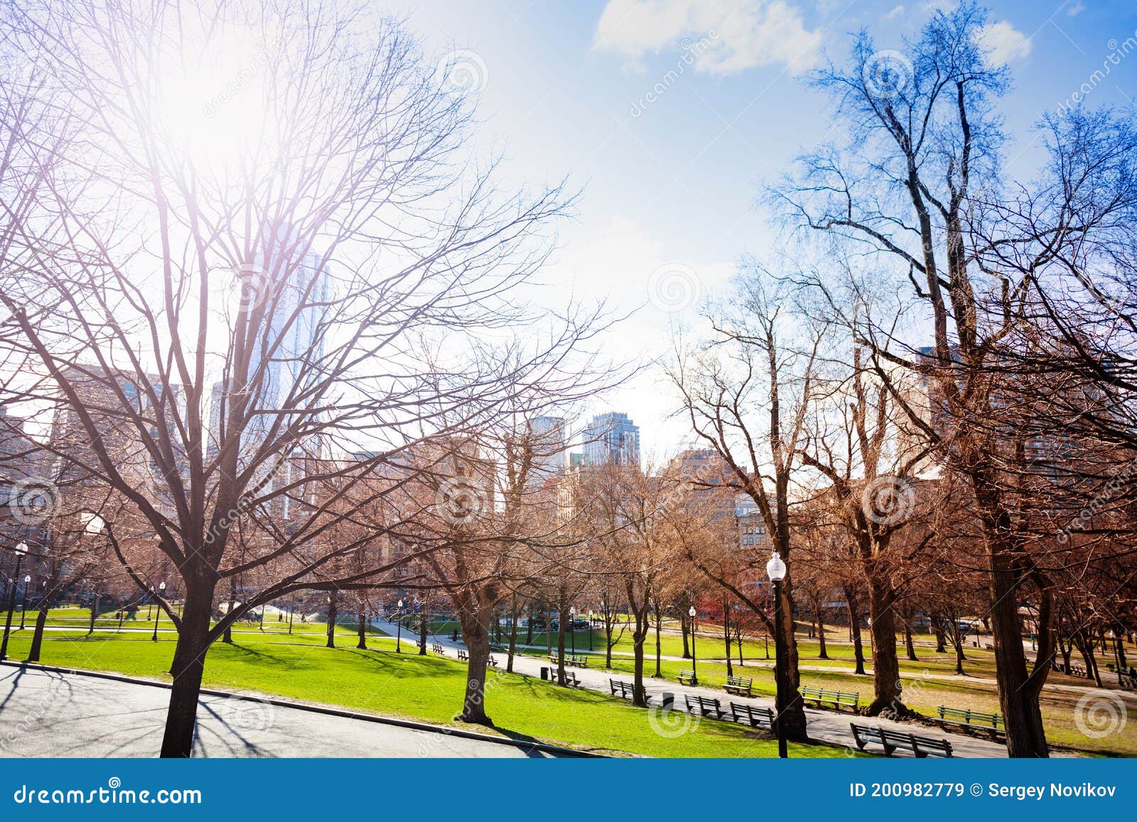 Spring Time and Boston Common Park in Downtown Stock Image - Image of ...