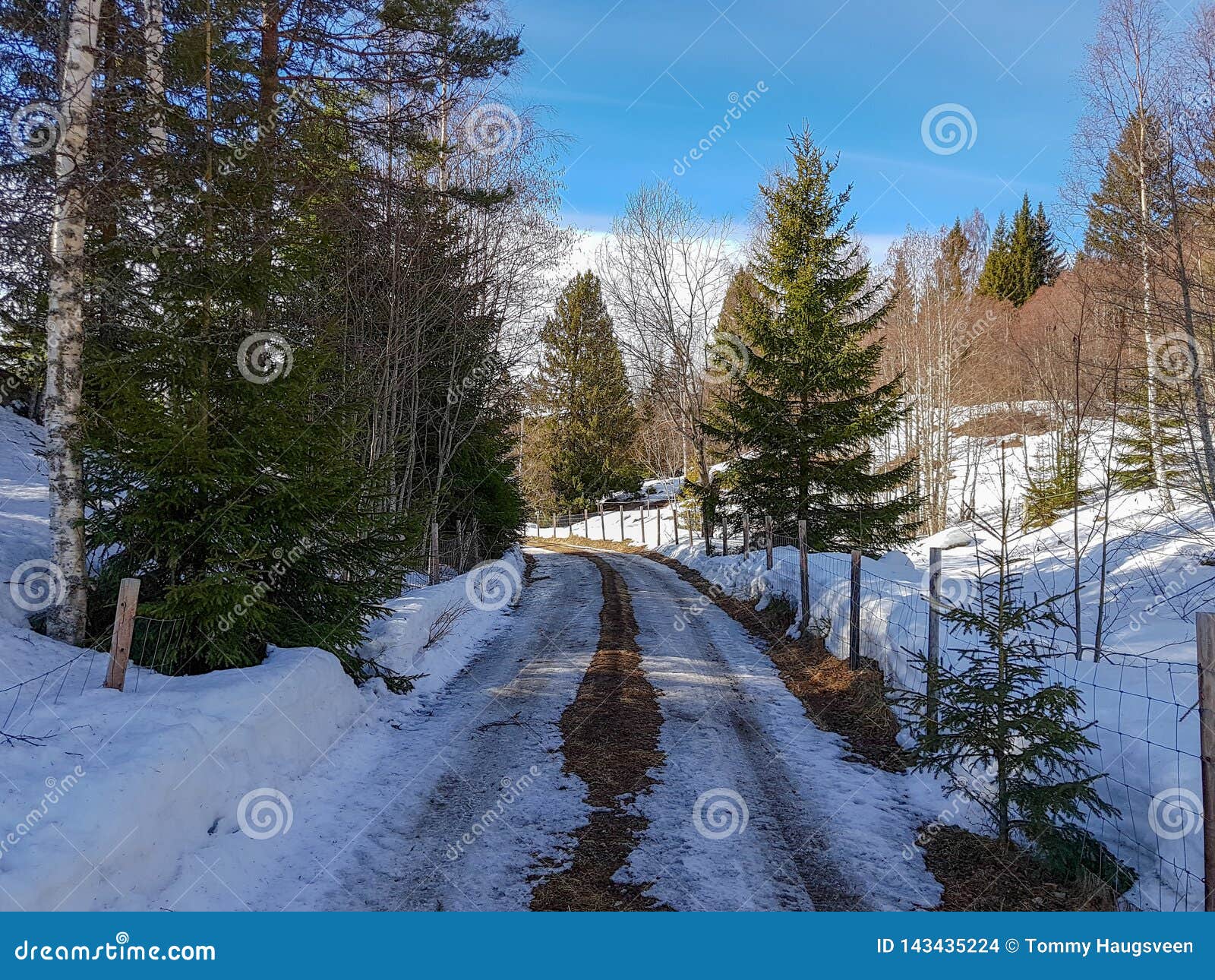 Spring Time in Hedmark County Norway Stock Photo - Image of time ...