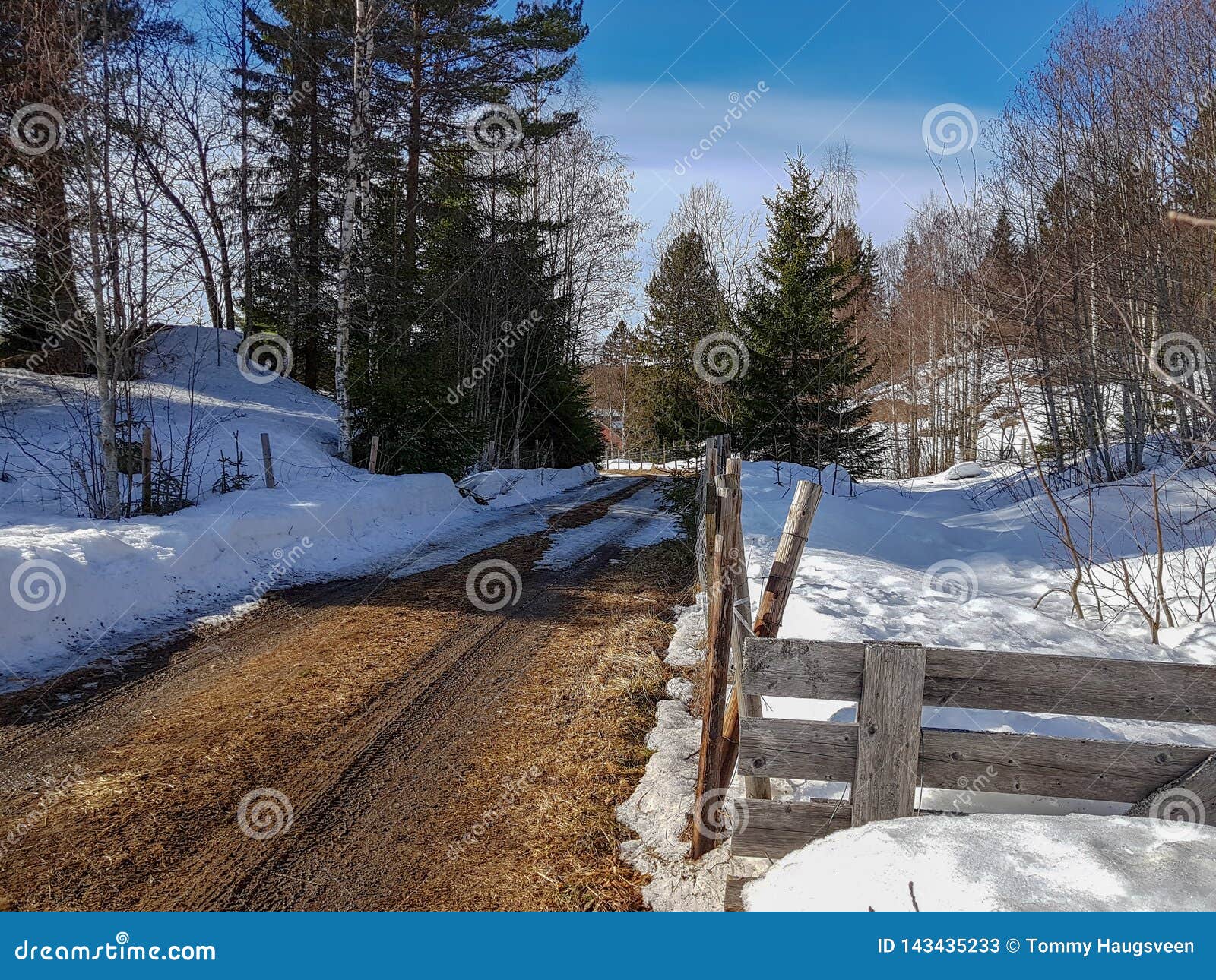 Spring Time in Hedmark County Norway Stock Image - Image of spring ...