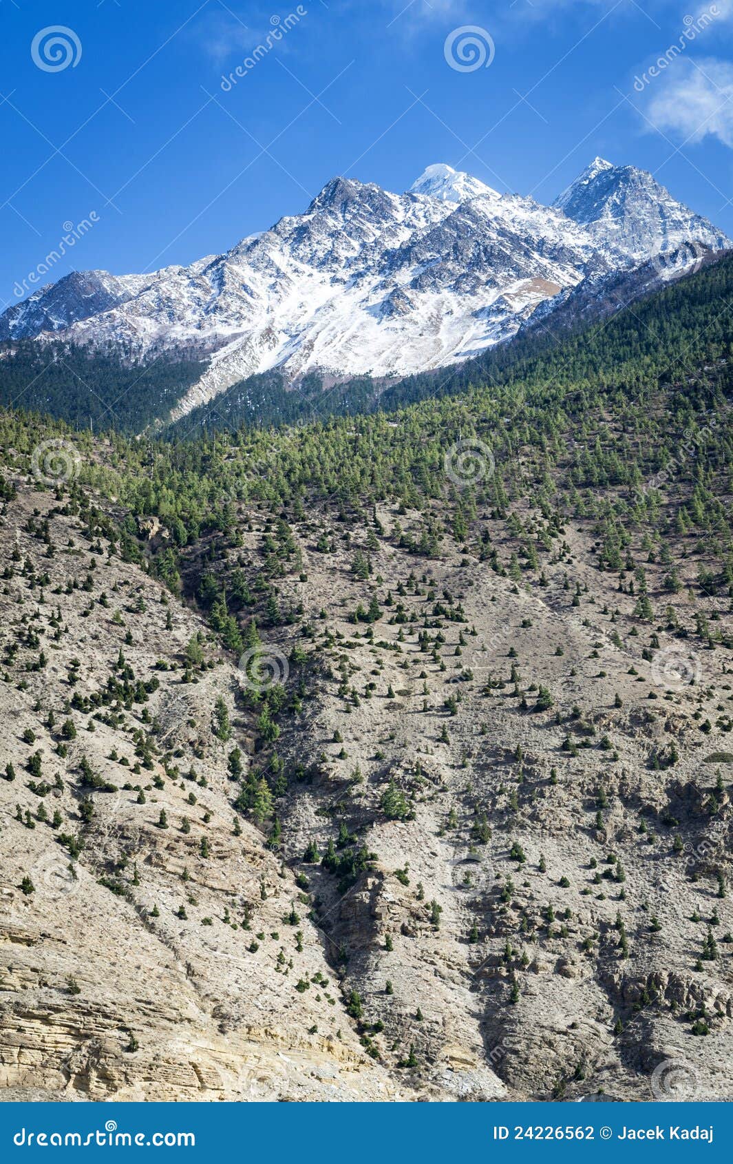 Spring Time in Himalaya Mountains Stock Photo - Image of green ...