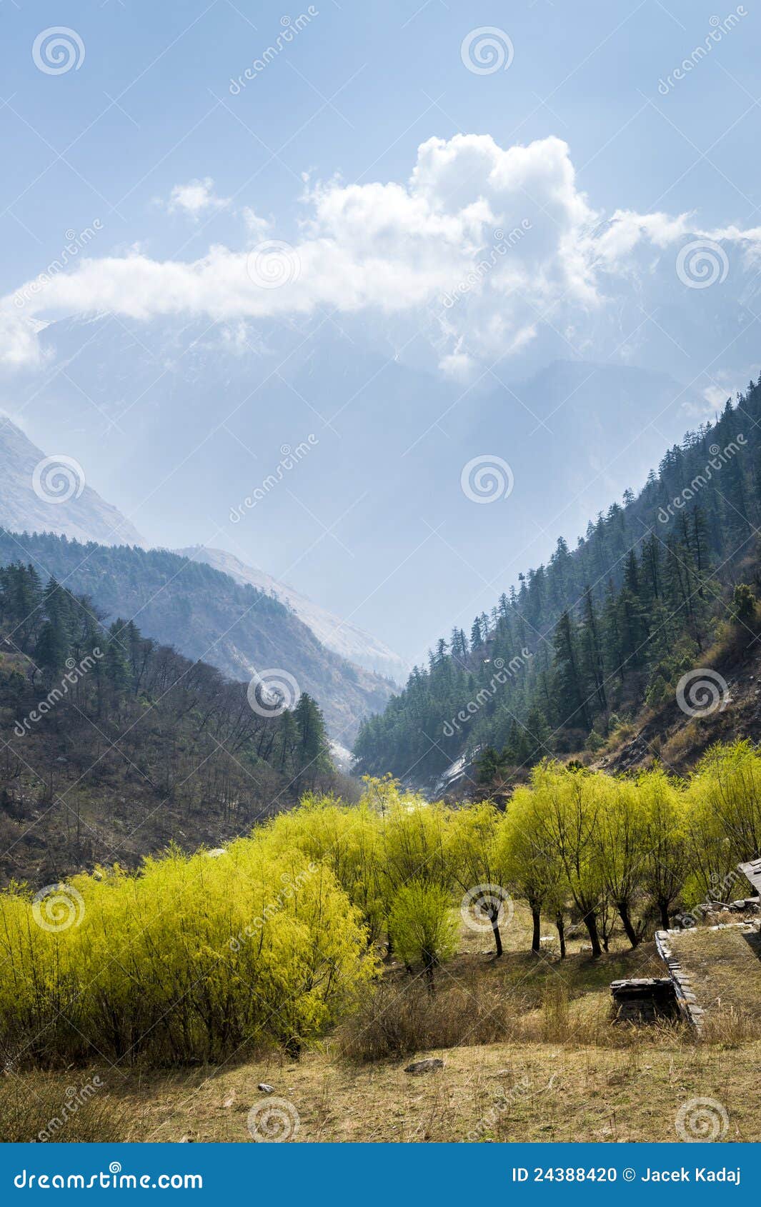 Spring Time in Himalaya Mountains, Nepal Stock Photo - Image of snow ...