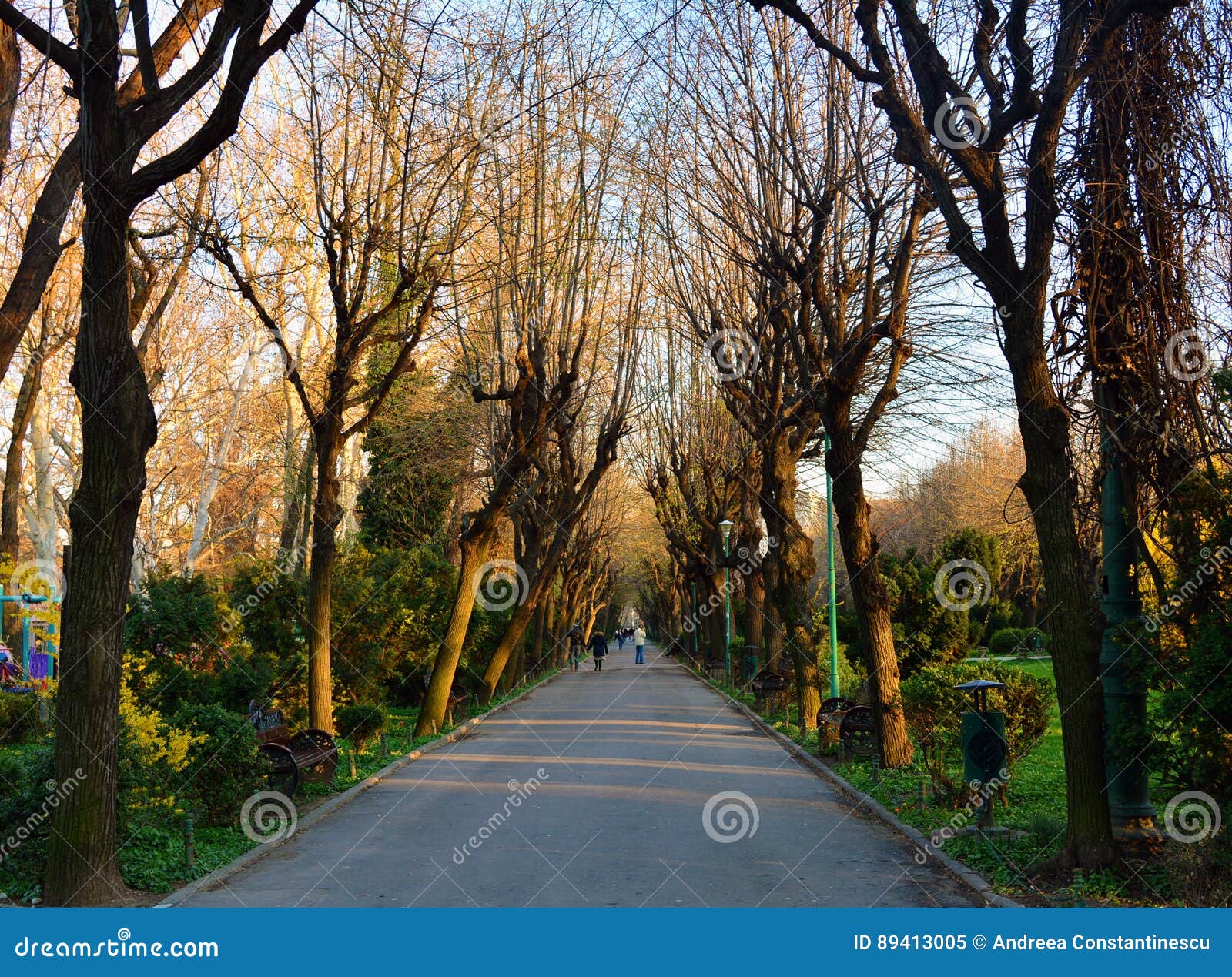 Spring time editorial image. Image of beauty, march, couple - 89413005