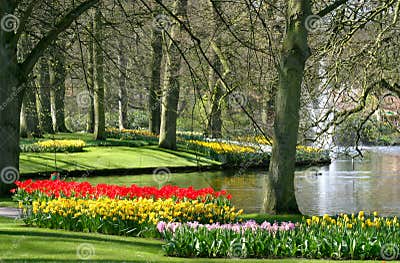 Spring time in park stock photo. Image of holland, peaceful - 104314