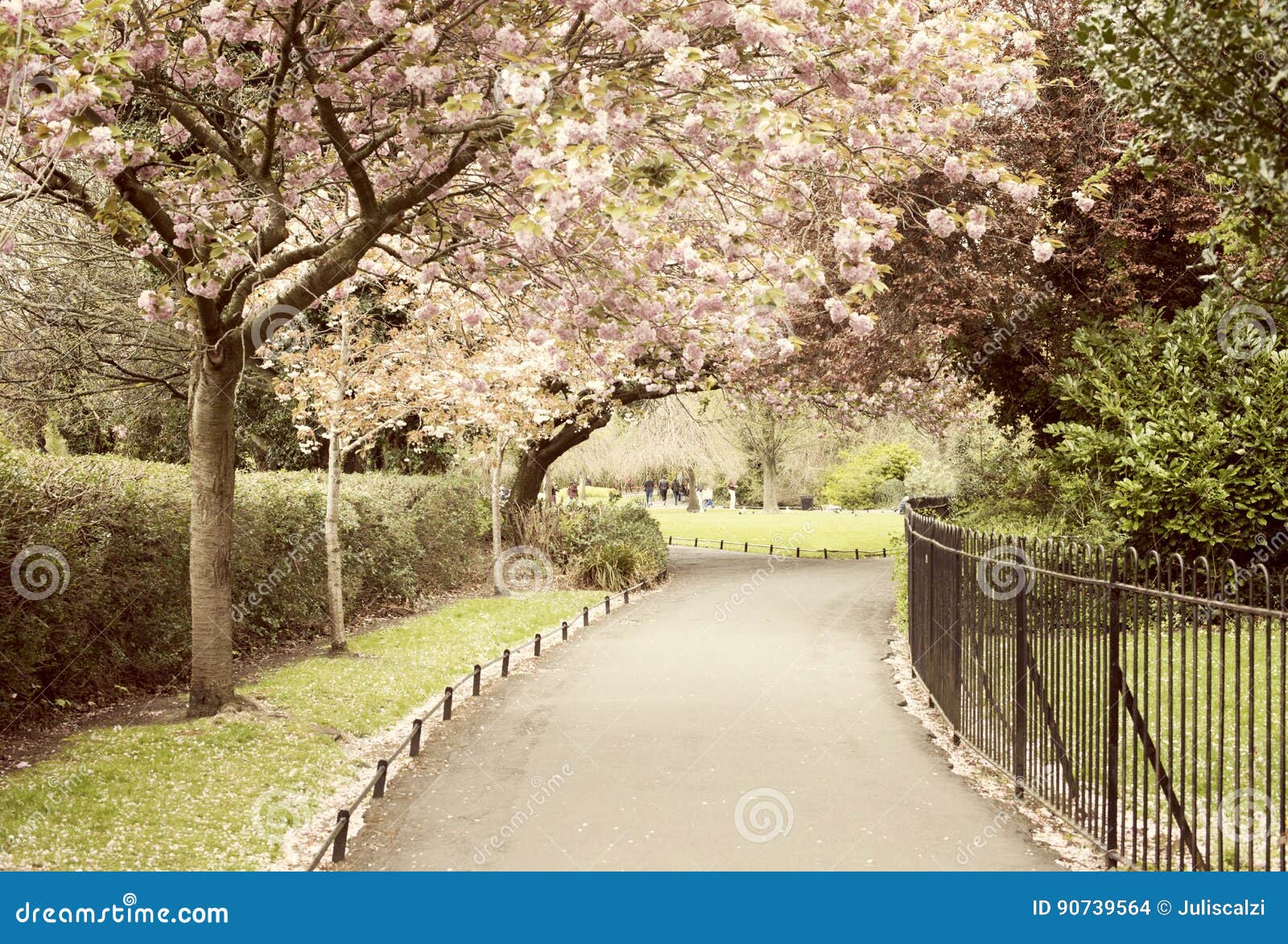 Spring time in the park stock photo. Image of tranquil - 90739564