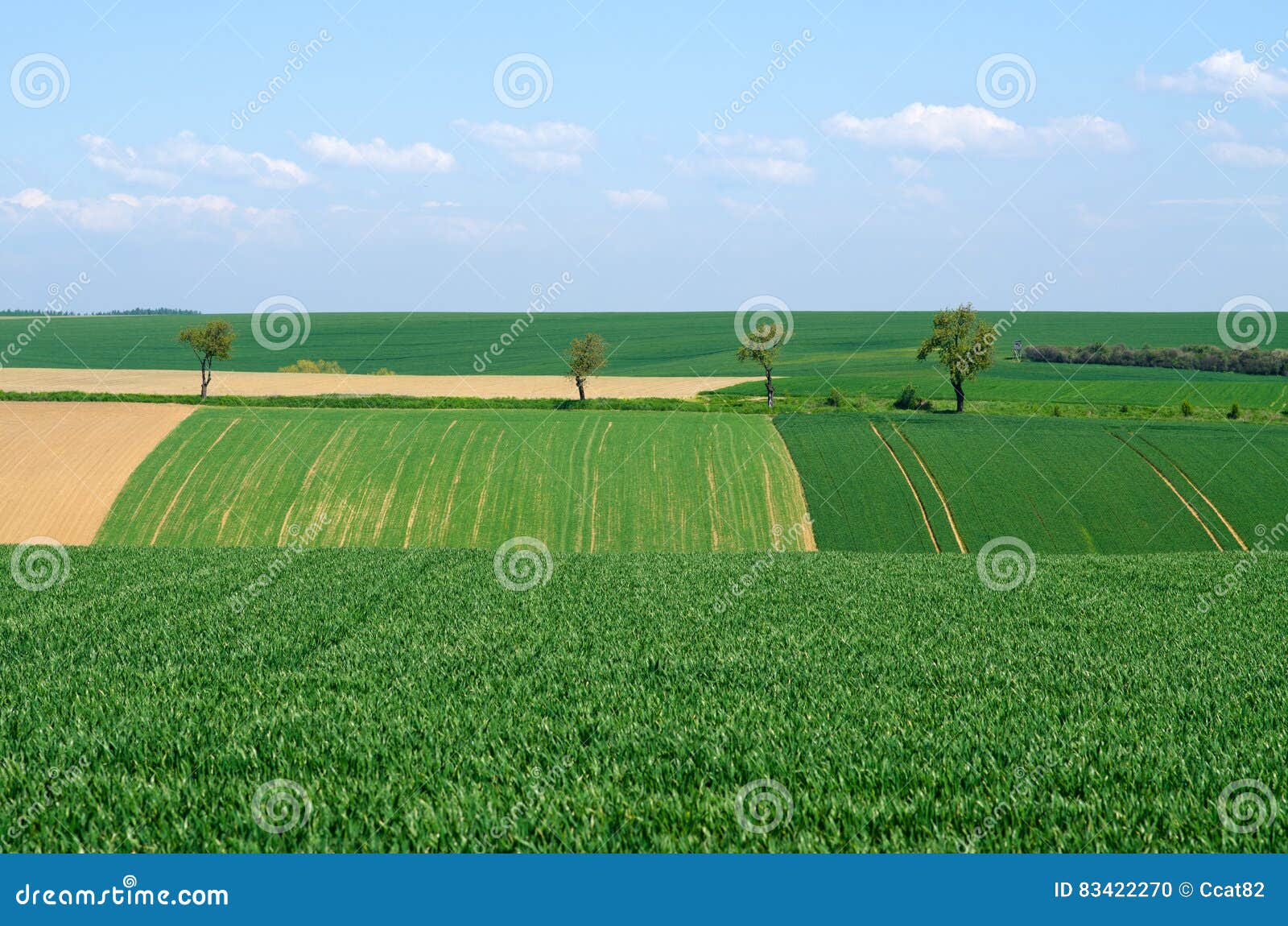 Spring time in Poland stock photo. Image of countryside - 83422270