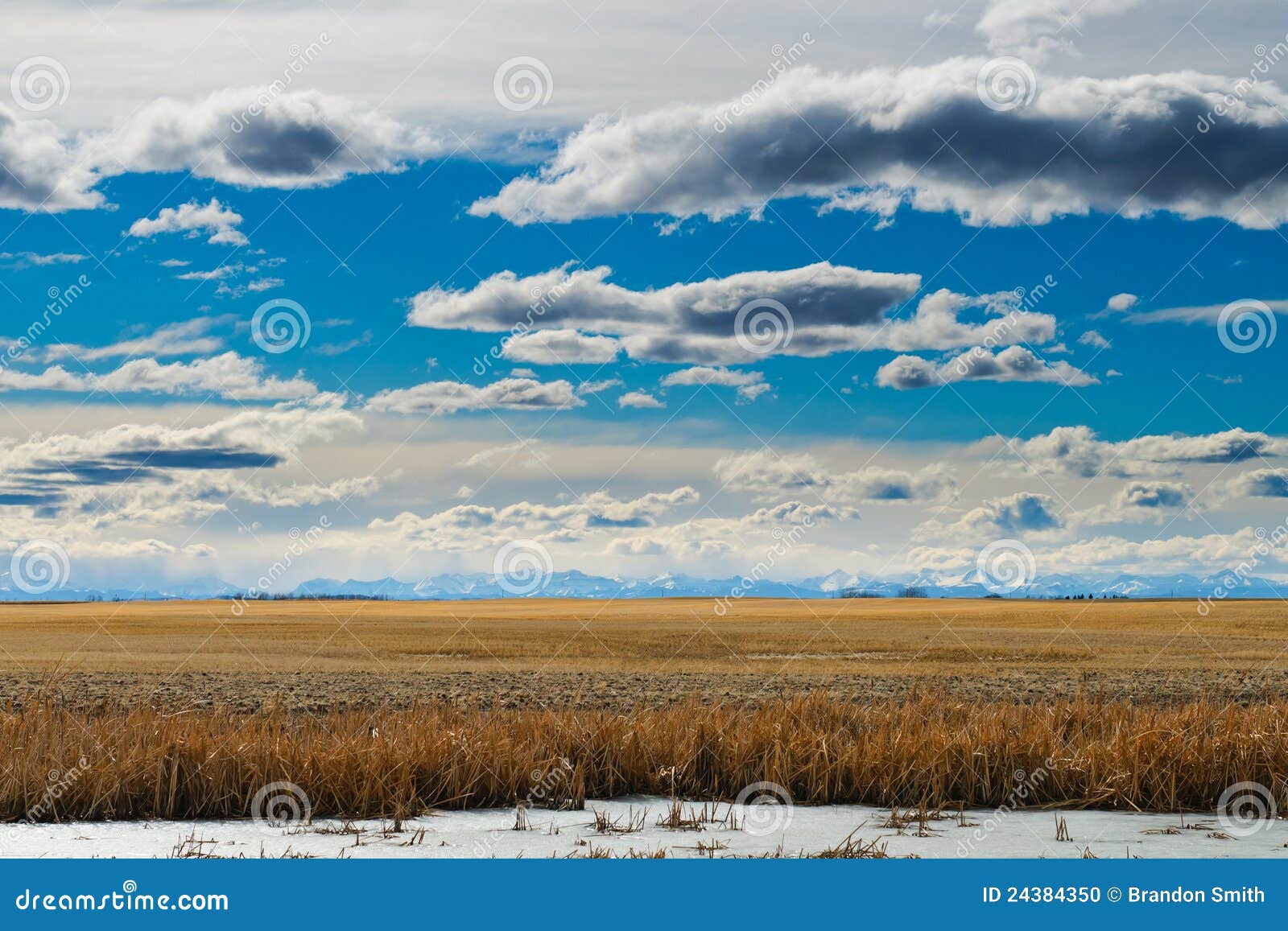 Spring Time in the Prairies Stock Photo - Image of open, country: 24384350