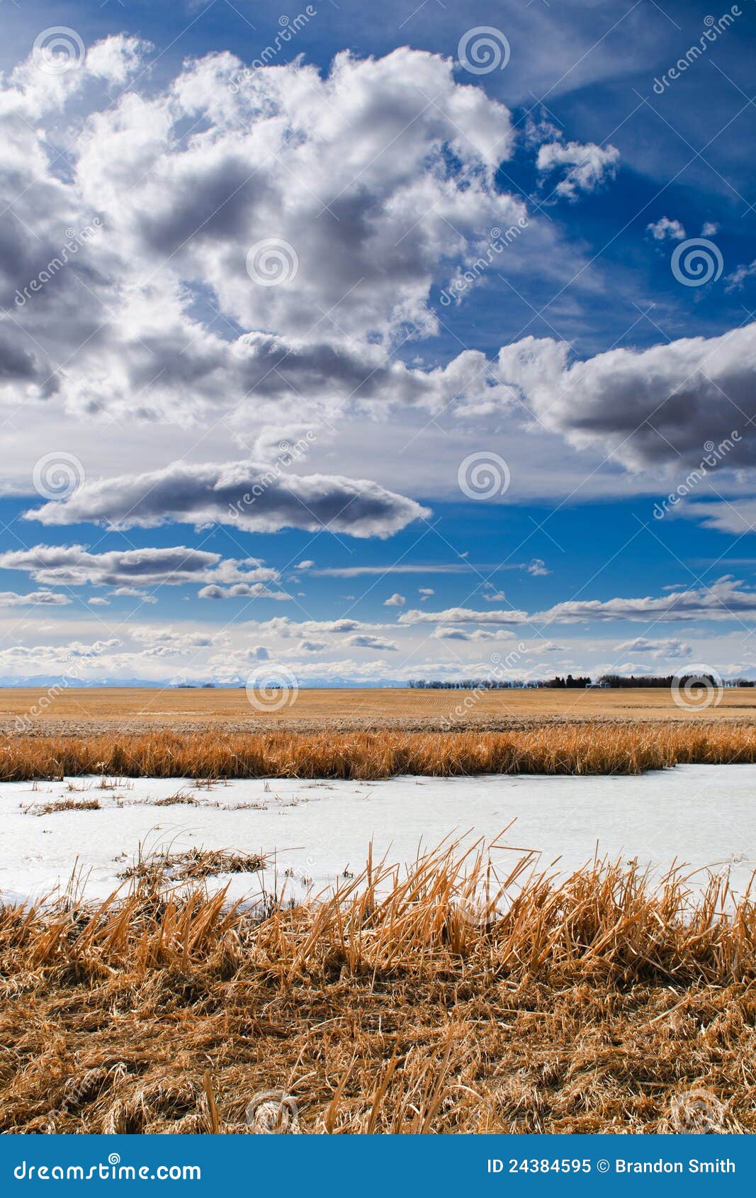 Spring Time in the Prairies Stock Image - Image of spring, prairies ...