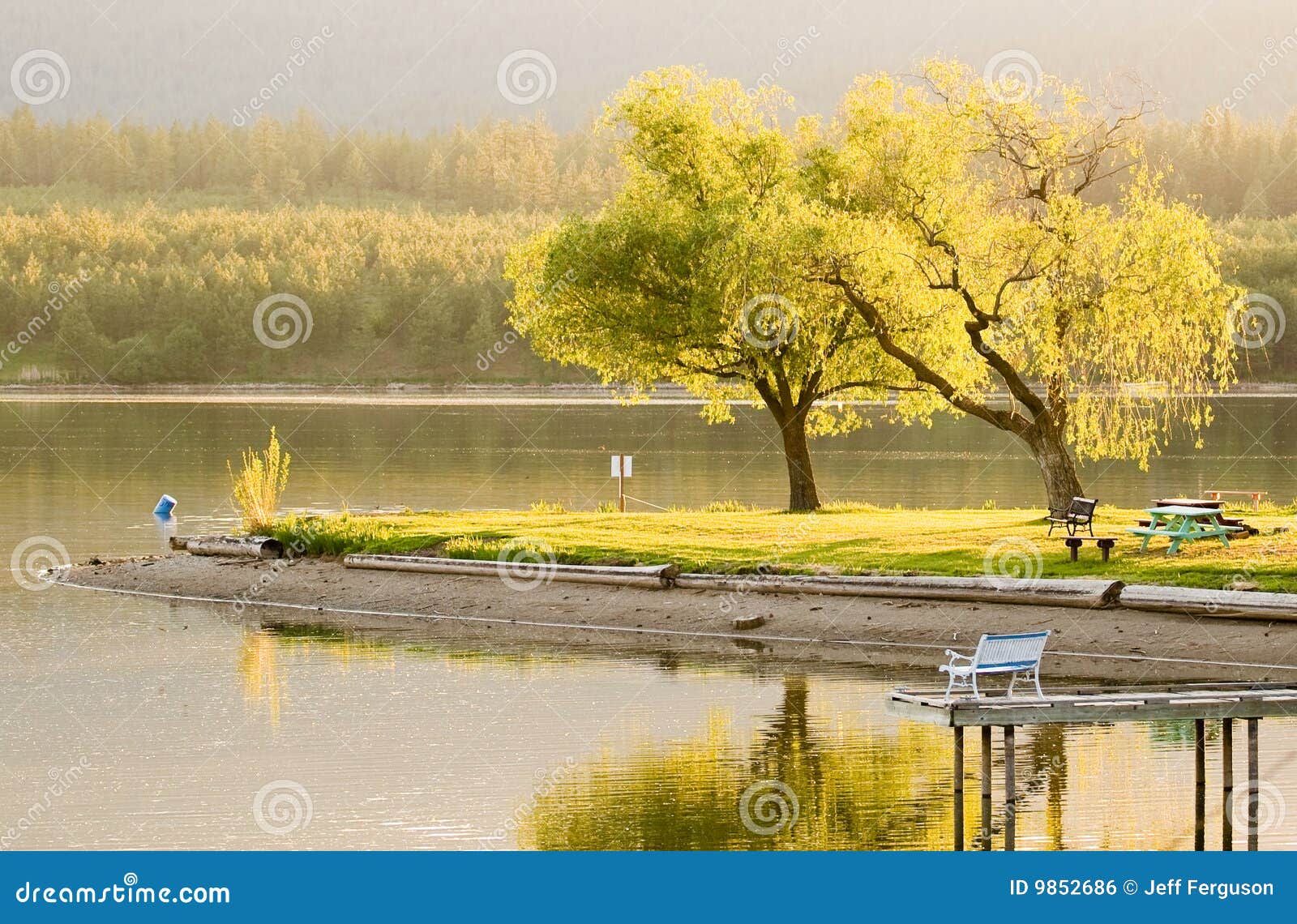 Spring Time Serenity Golden Hour at the Lake Stock Photo - Image of ...