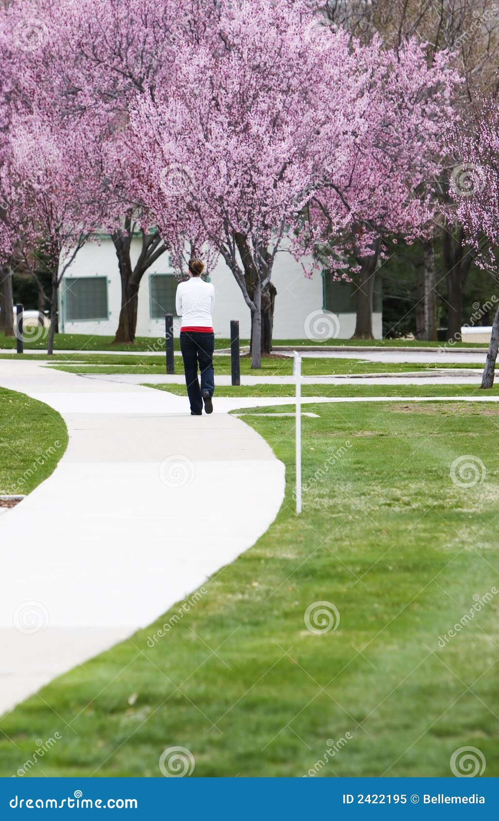 Spring time stroll in park stock image. Image of spring - 2422195
