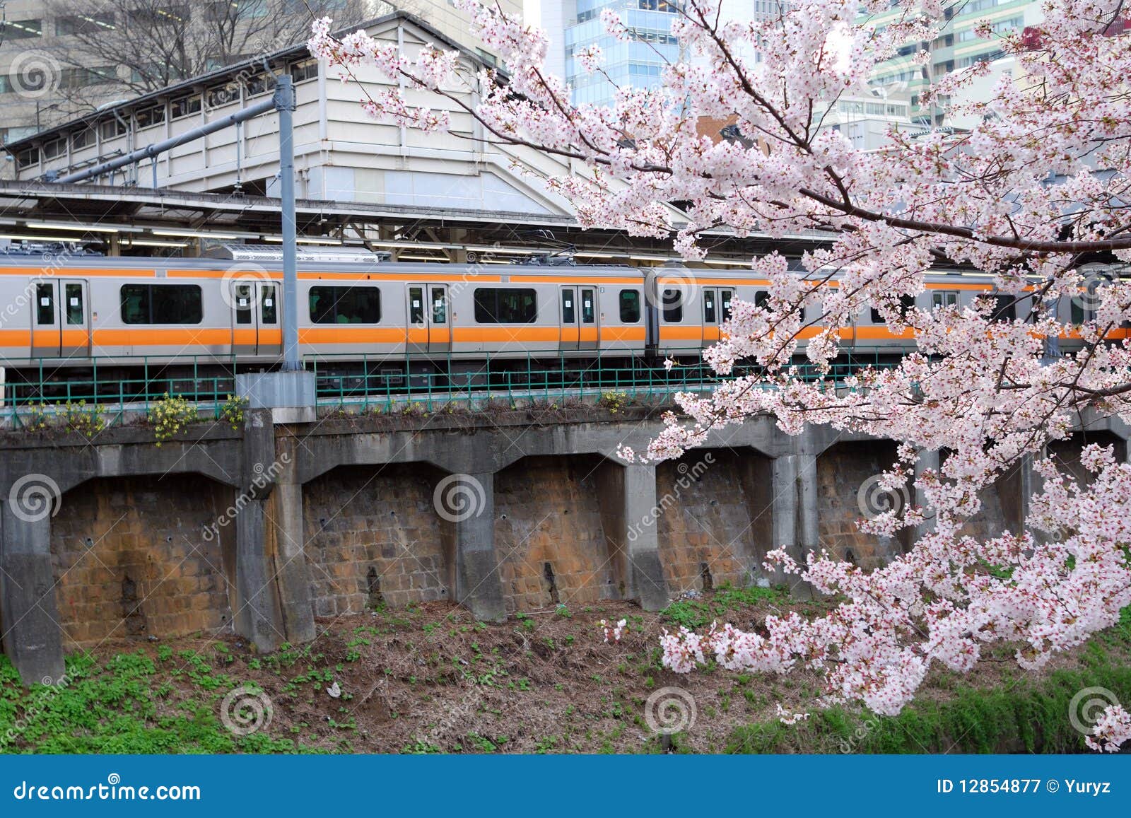 Spring in Tokyo stock image. Image of tree, spring, structure - 12854877