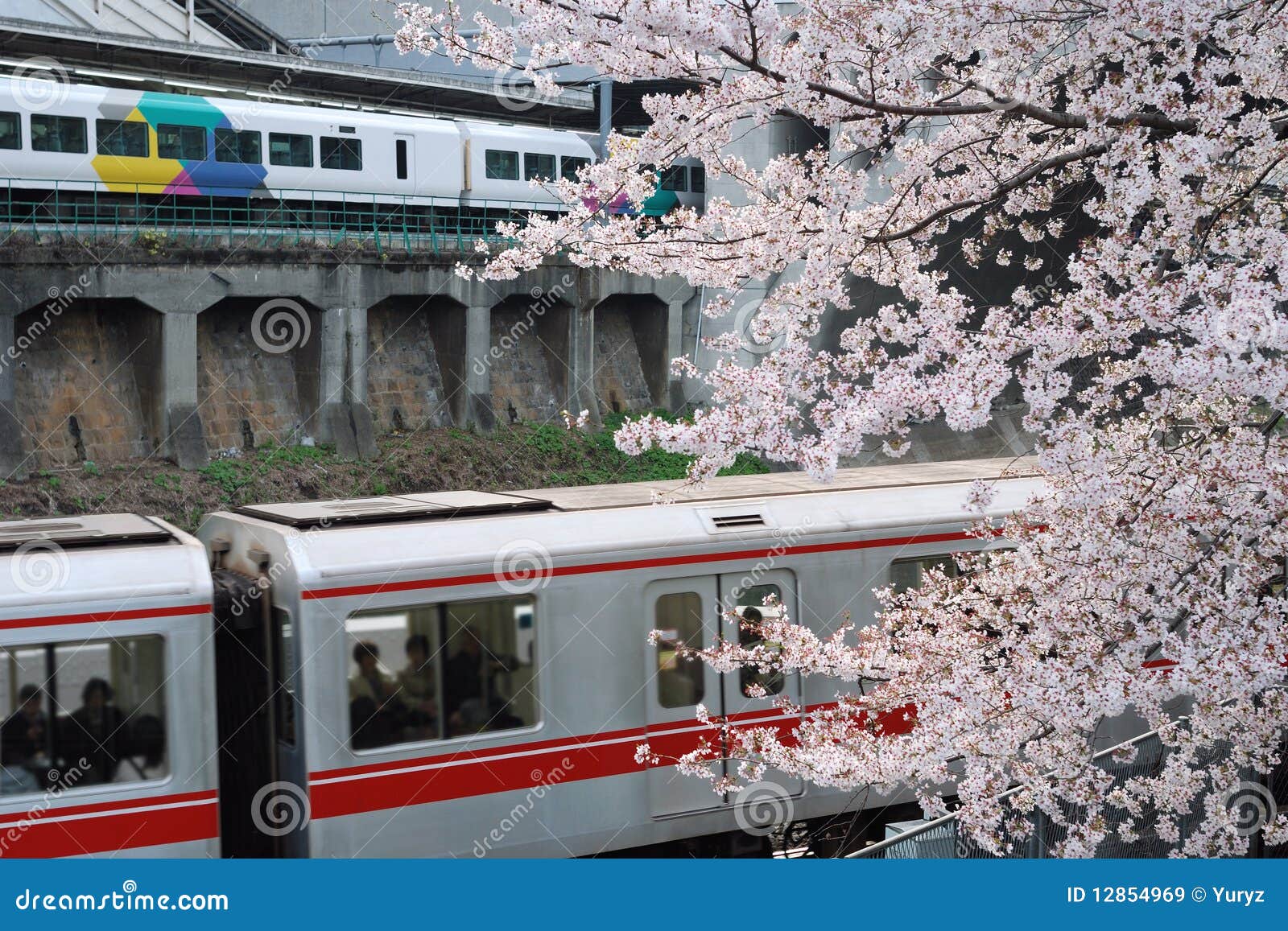 Spring in Tokyo stock image. Image of fresh, train, spring - 12854969