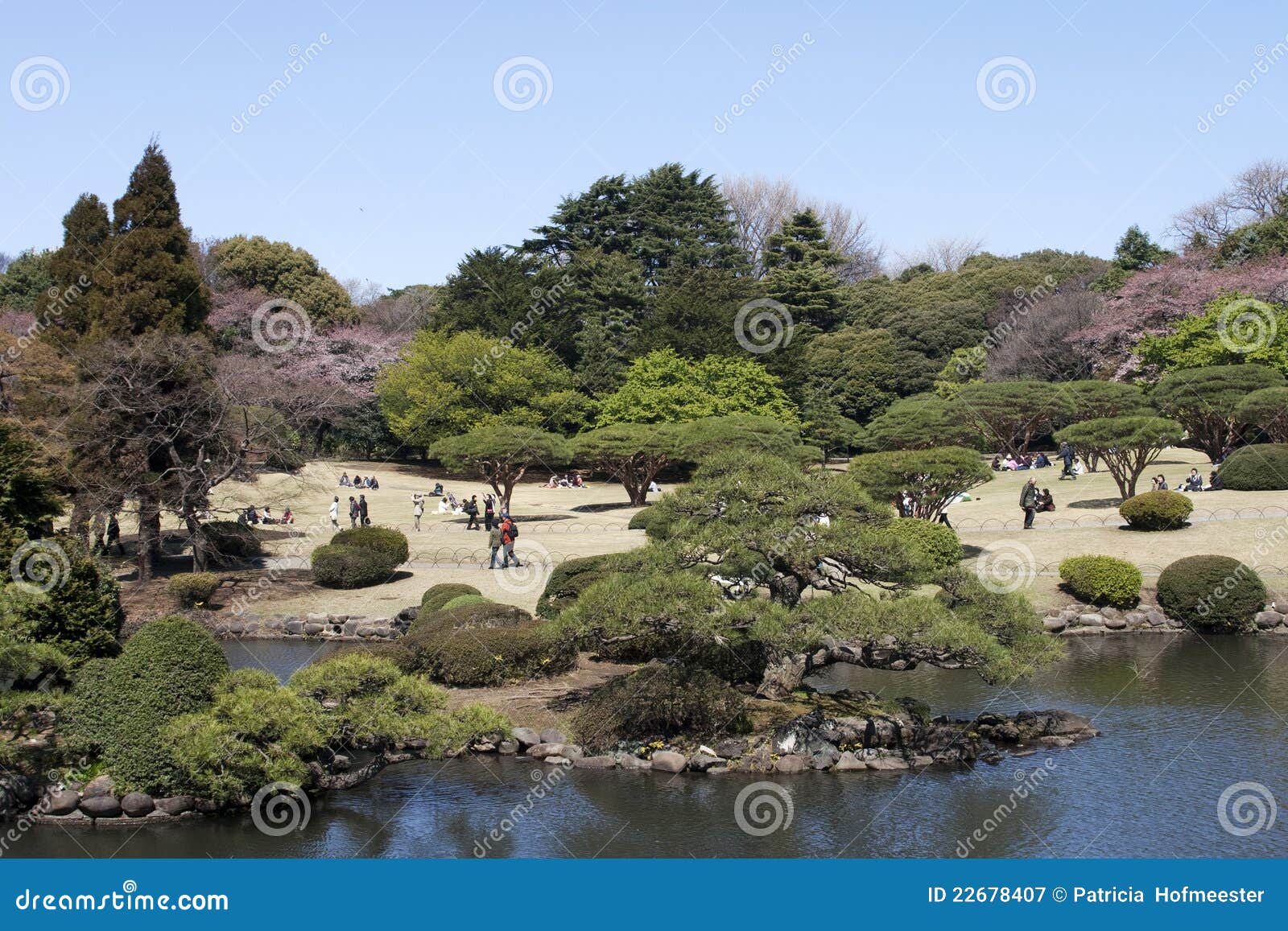 Spring in Tokyo stock image. Image of enjoyment, entertainment - 22678407