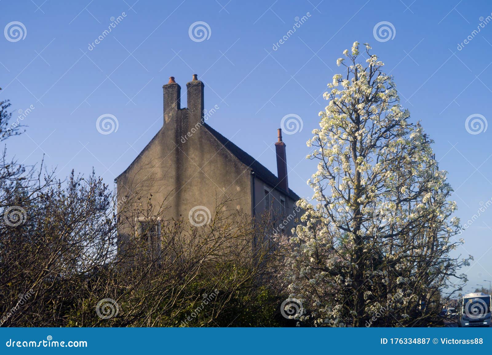 Spring in town stock image. Image of beautiful, season - 176334887