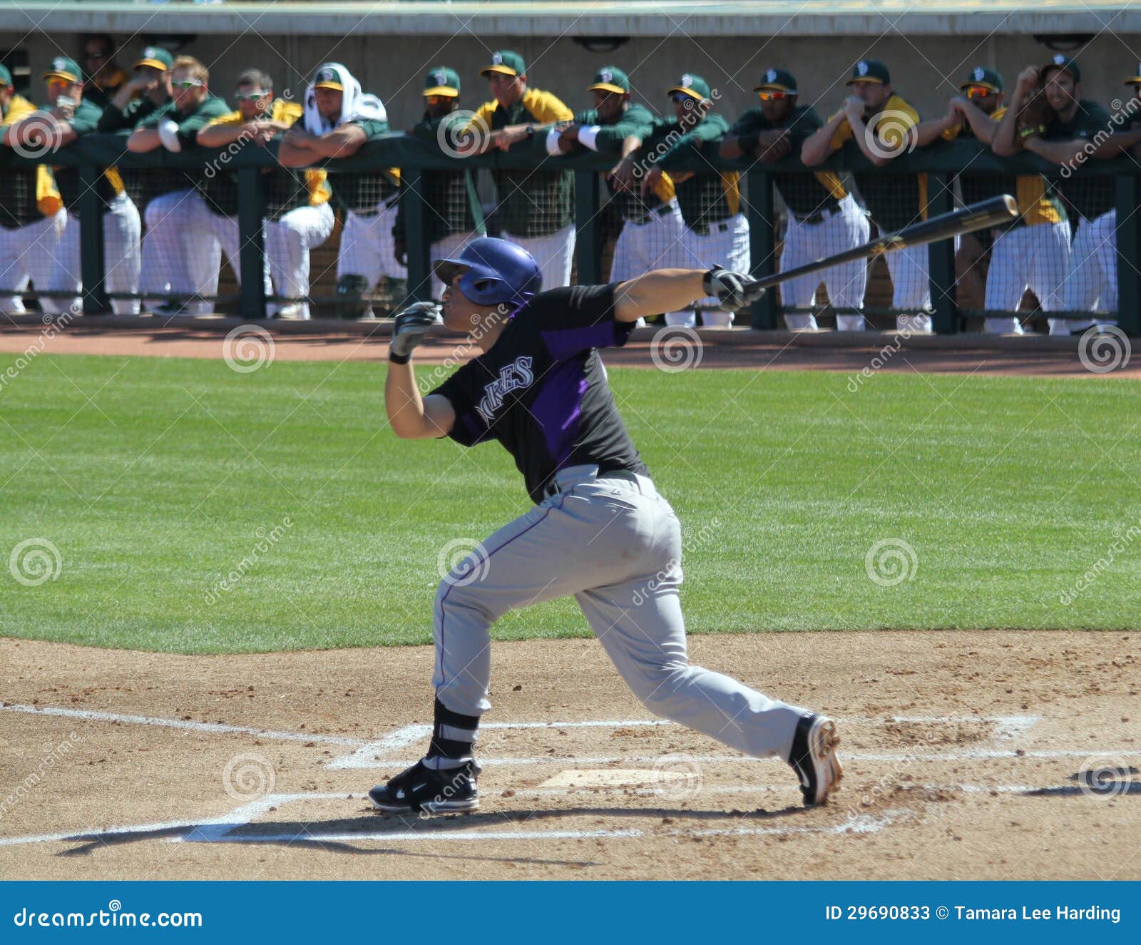 Spring Training in Arizona editorial stock photo. Image of fields ...