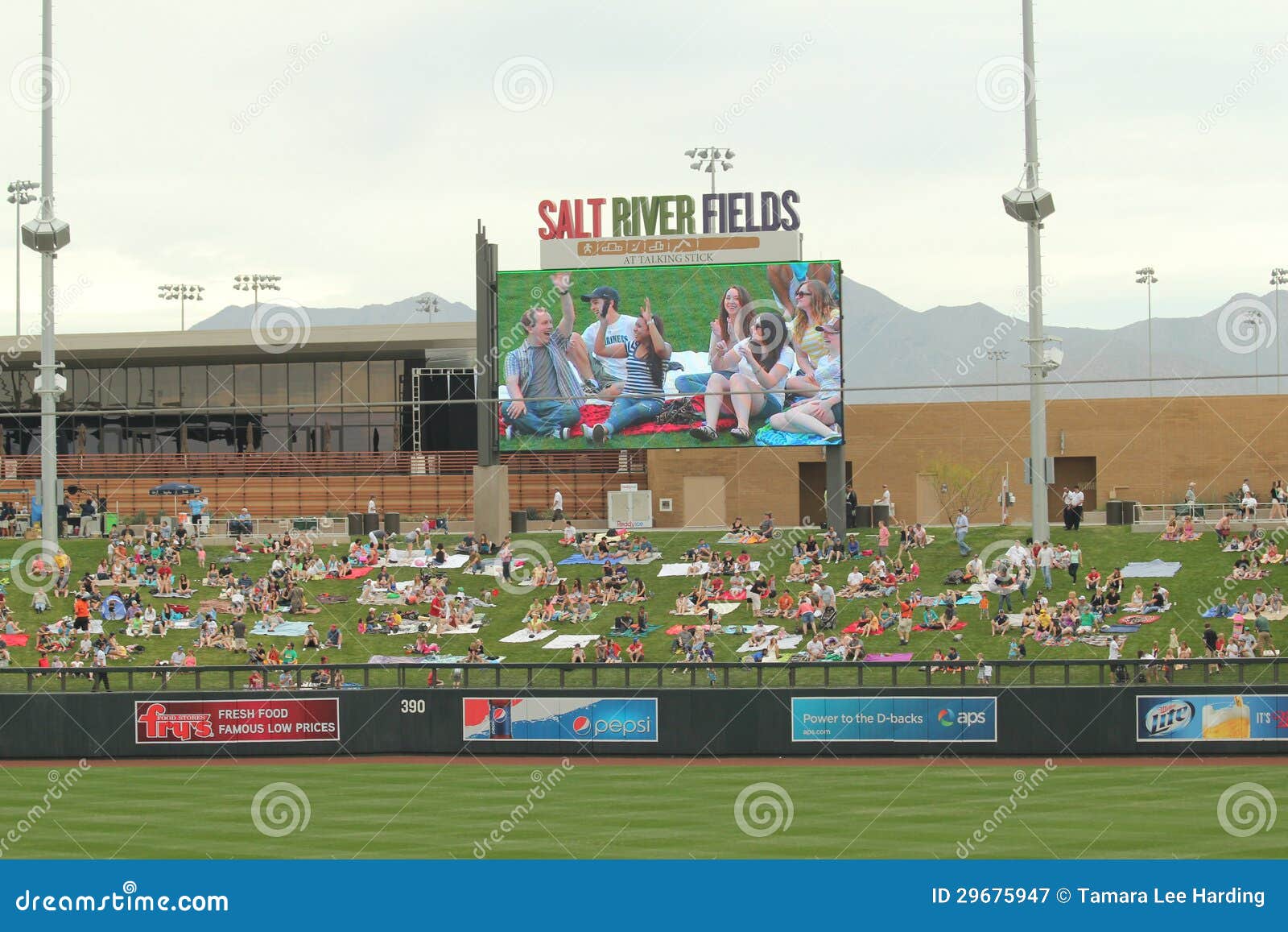 Spring Training at Salt River Fields, Arizona Editorial Photography ...