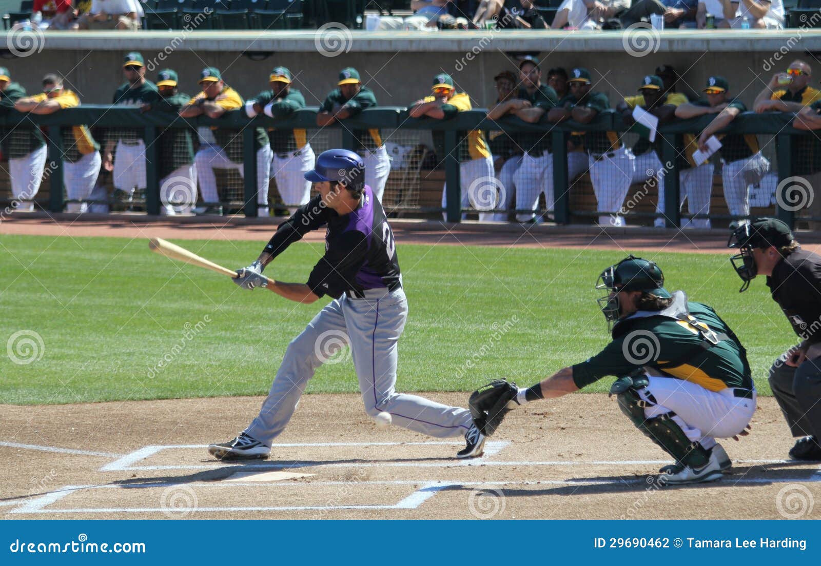 Spring Training at Salt River Fields, Arizona Editorial Photography ...