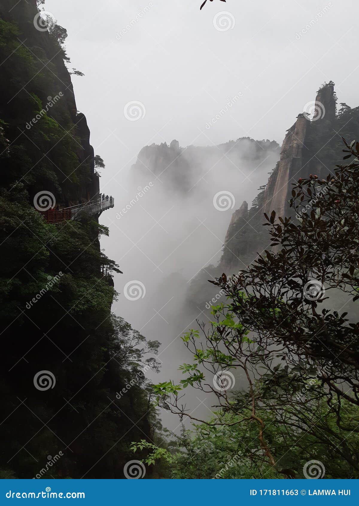 Mist Hiking Path Ethiopian High Lands Simean Wollo, Amhara, Ethiopia ...