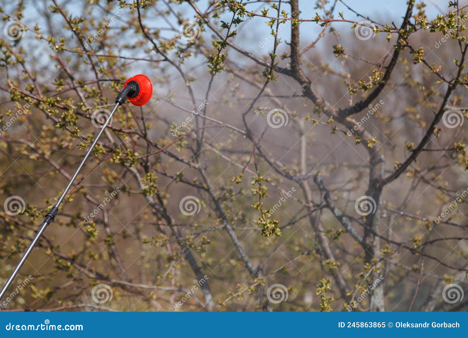 Spring Treatments Of Trees With Pesticides Pest Control Stock Image