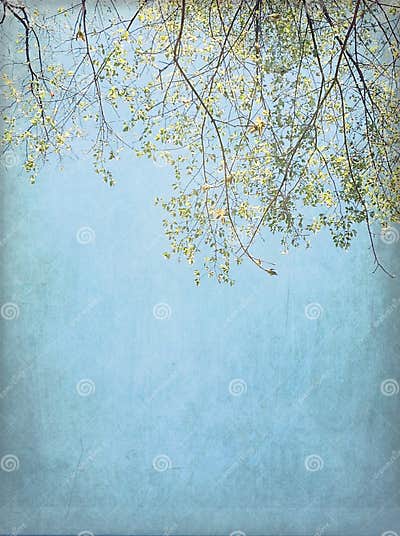 Spring Tree Background stock photo. Image of blue, season - 27417322