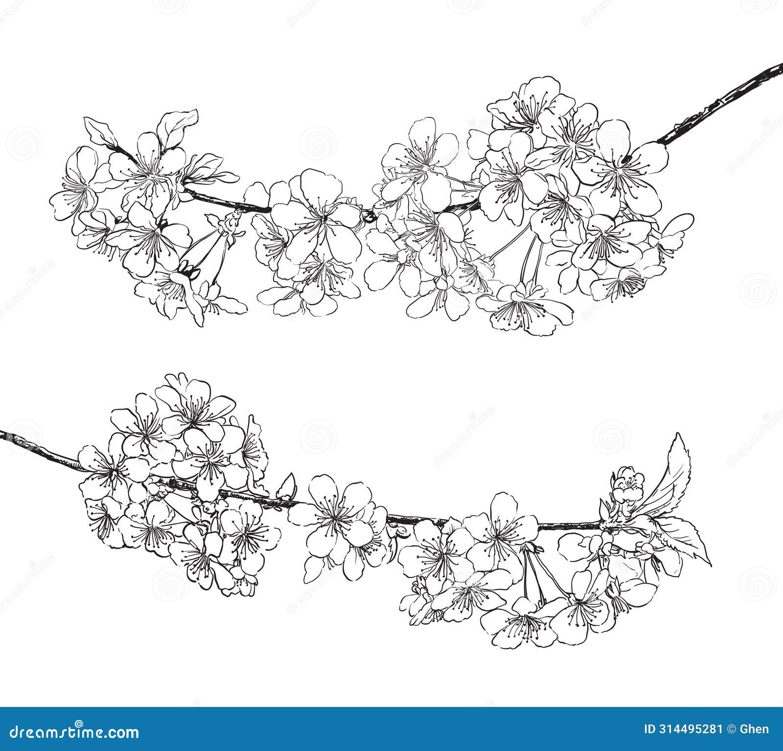 Spring Tree Flowers Line Art Drawing Background Collection. Vector ...