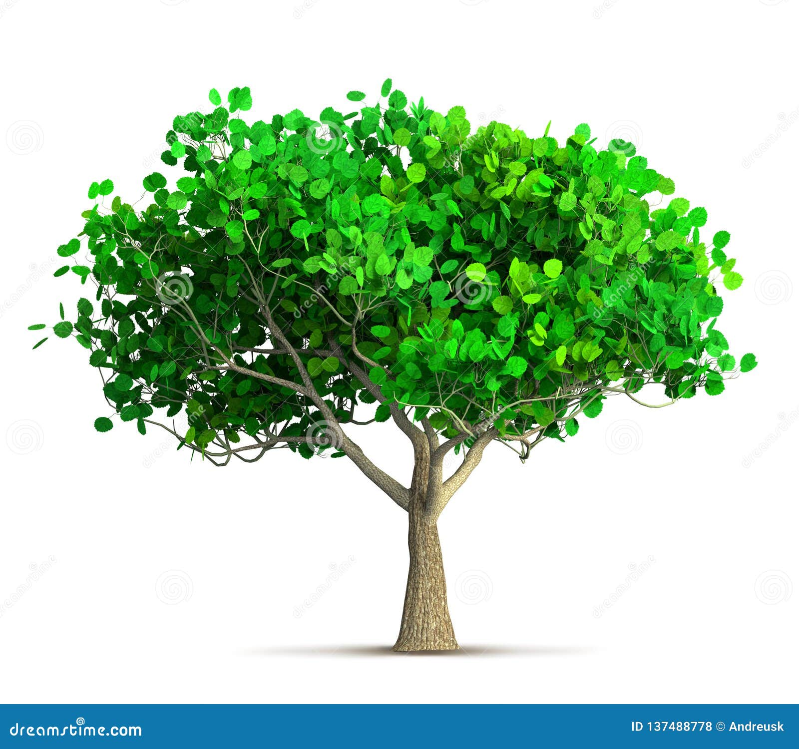 A Spring Tree Isolated 3D Illustration Stock Photo - Image of detailed ...