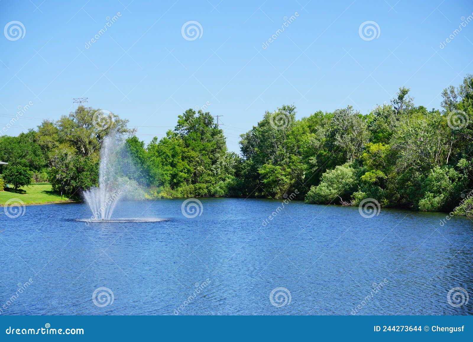 Spring tree leaf and pond stock photo. Image of architecture - 244273644