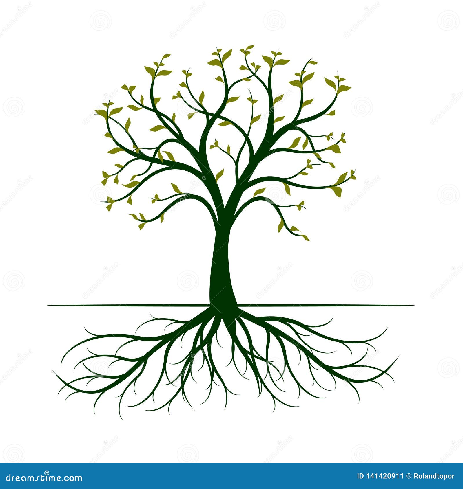 Spring Tree with Leaves and Roots on White Background. Vector ...