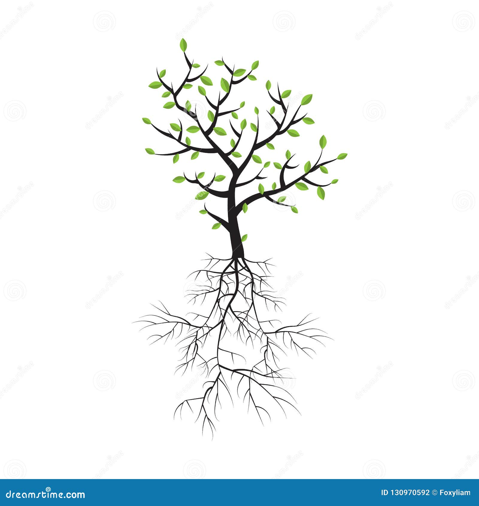 Spring Tree with Roots and Foliage Stock Vector - Illustration of ...