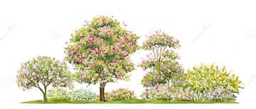 Watercolor Flower Tree Side View for Landscape Stock Photo - Image of ...