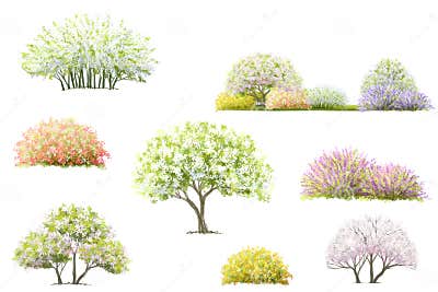 Watercolor Flower Tree Side View for Landscape Stock Image - Image of ...