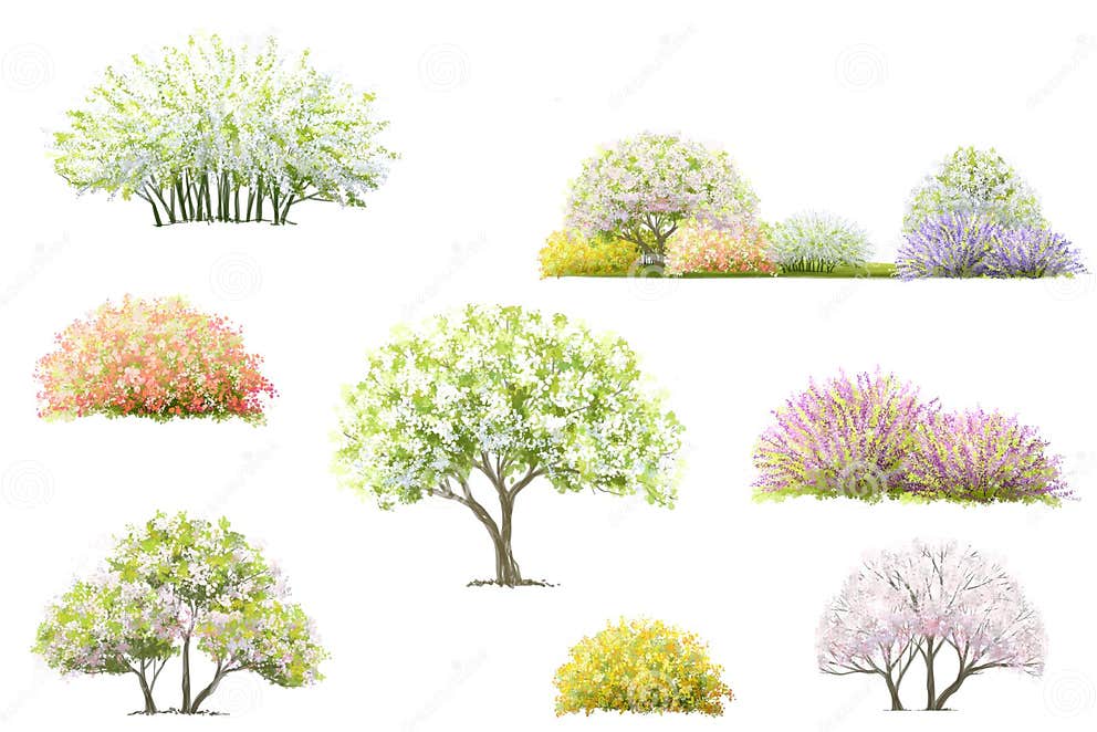 Watercolor Flower Tree Side View for Landscape Stock Image - Image of ...