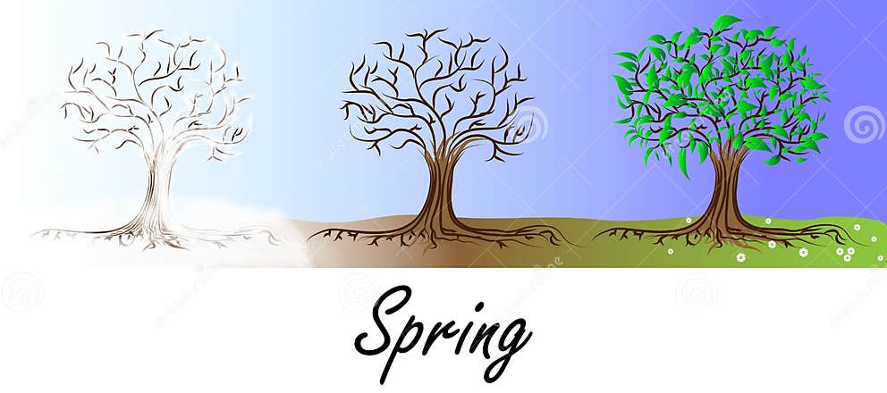 Spring tree transformation stock illustration. Illustration of corolla ...