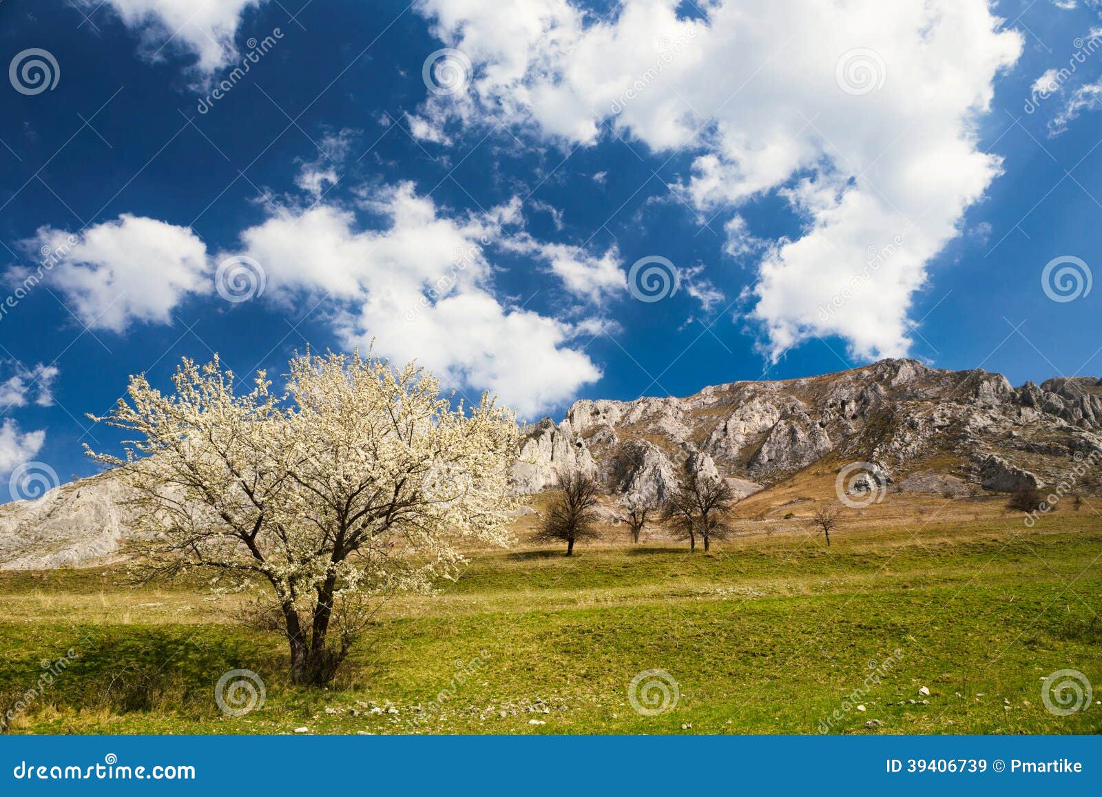 Spring Tree Under the Mountains Stock Image - Image of landscape ...