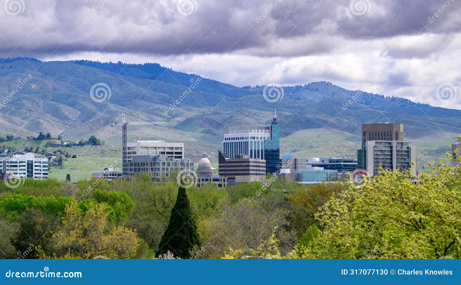 Spring Trees in Boise City Park with Skyline Stock Photo - Image of ...